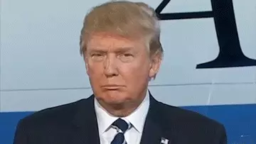 Donald Trump - Giphy