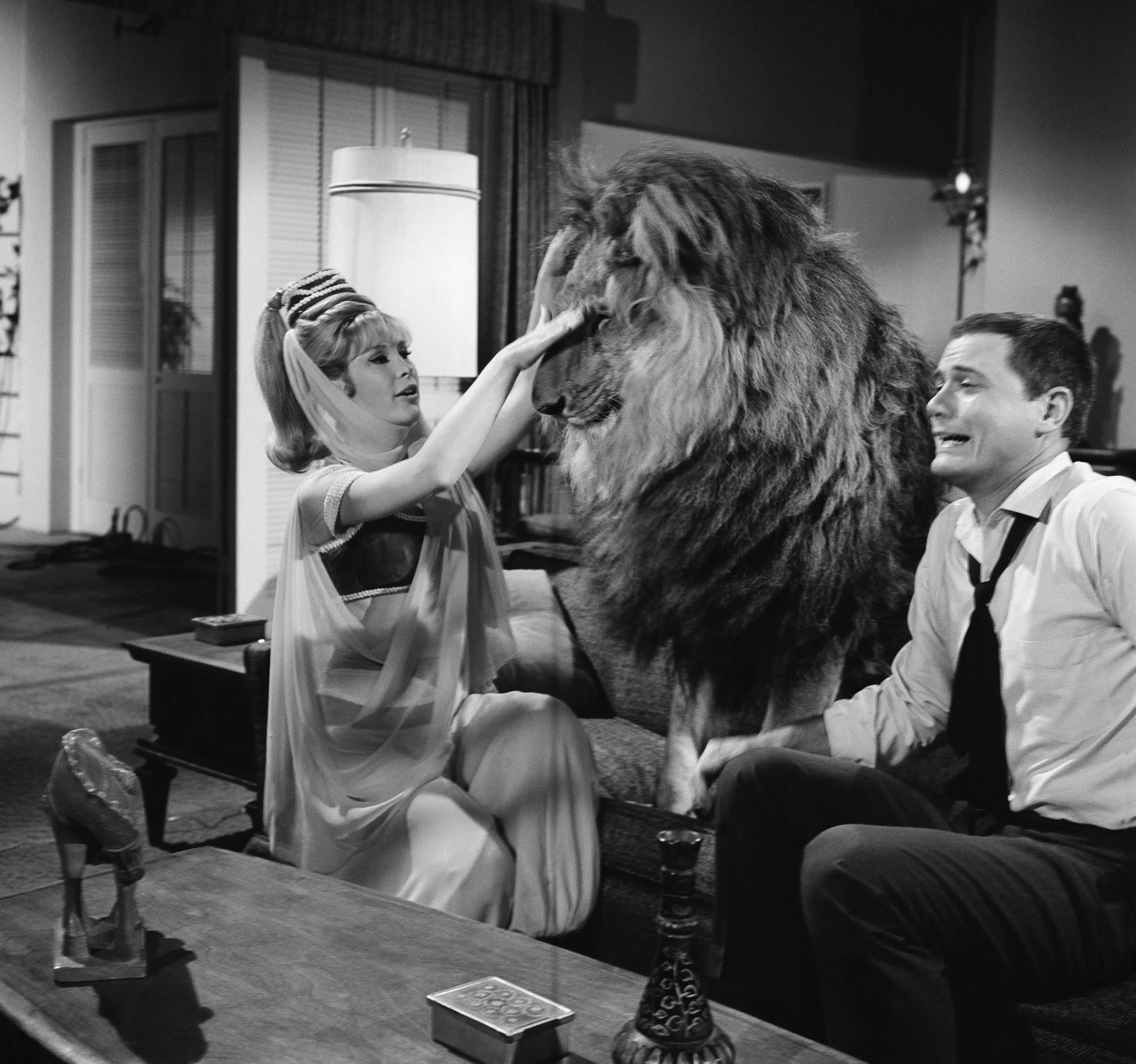 i-dream-of-jeannie-lion