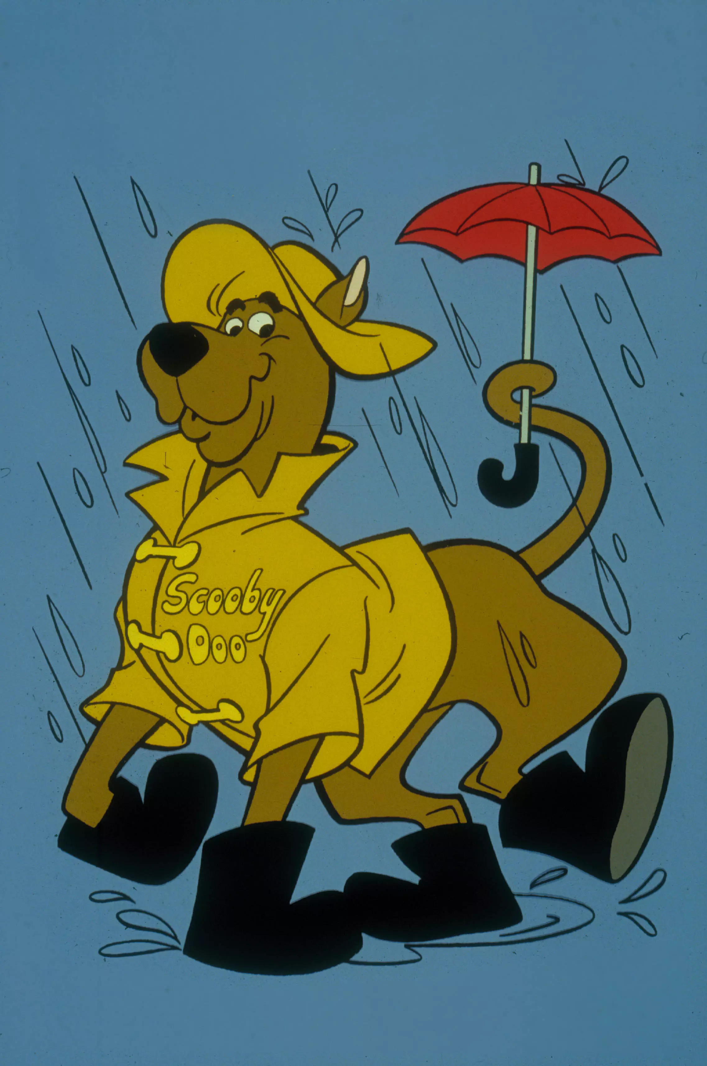 scooby-doo-na-raincoat