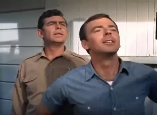 ကင်ဘယ်ရီသီး - Andy Griffith ၂