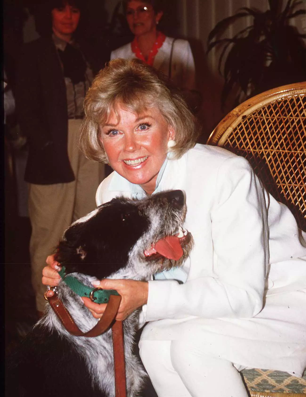 Doris Day Images Dog Getty Images