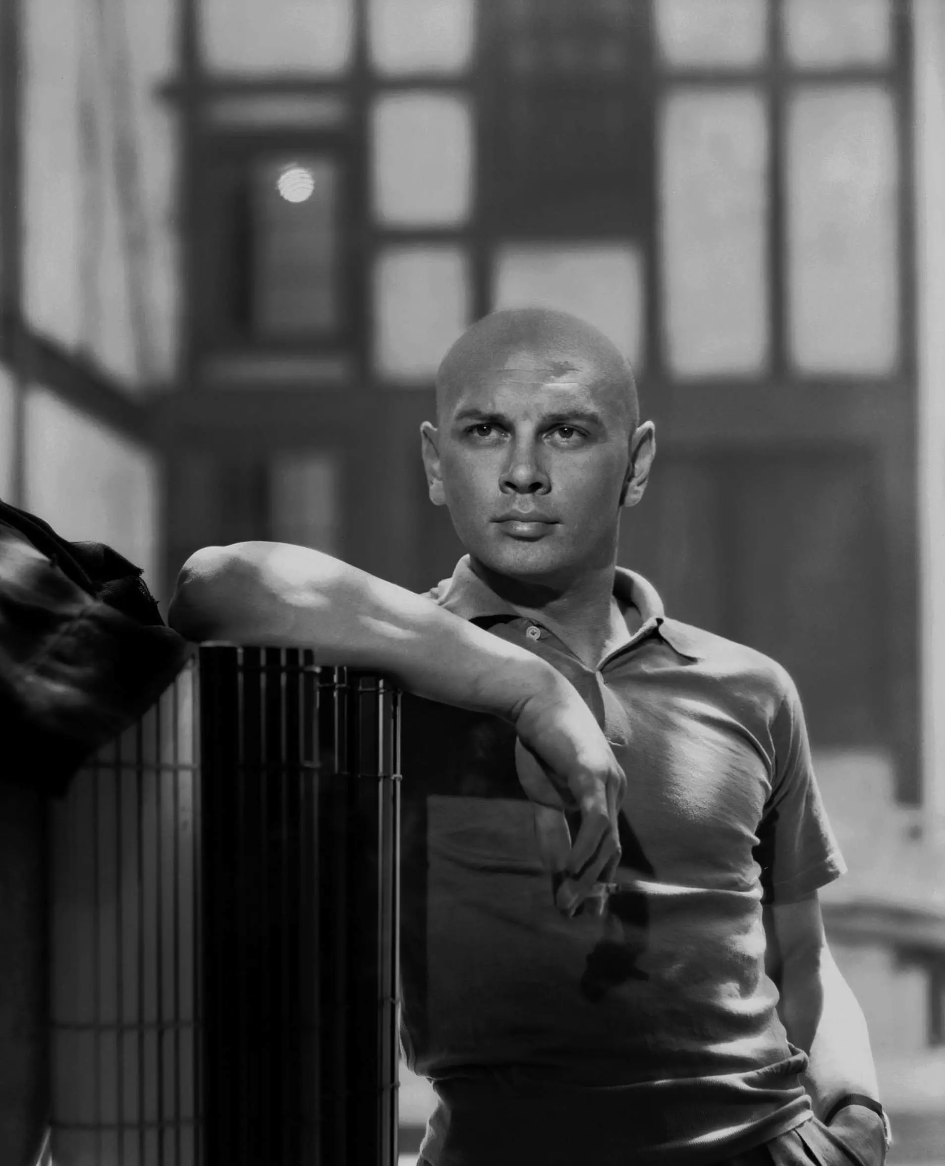 yul-brynner