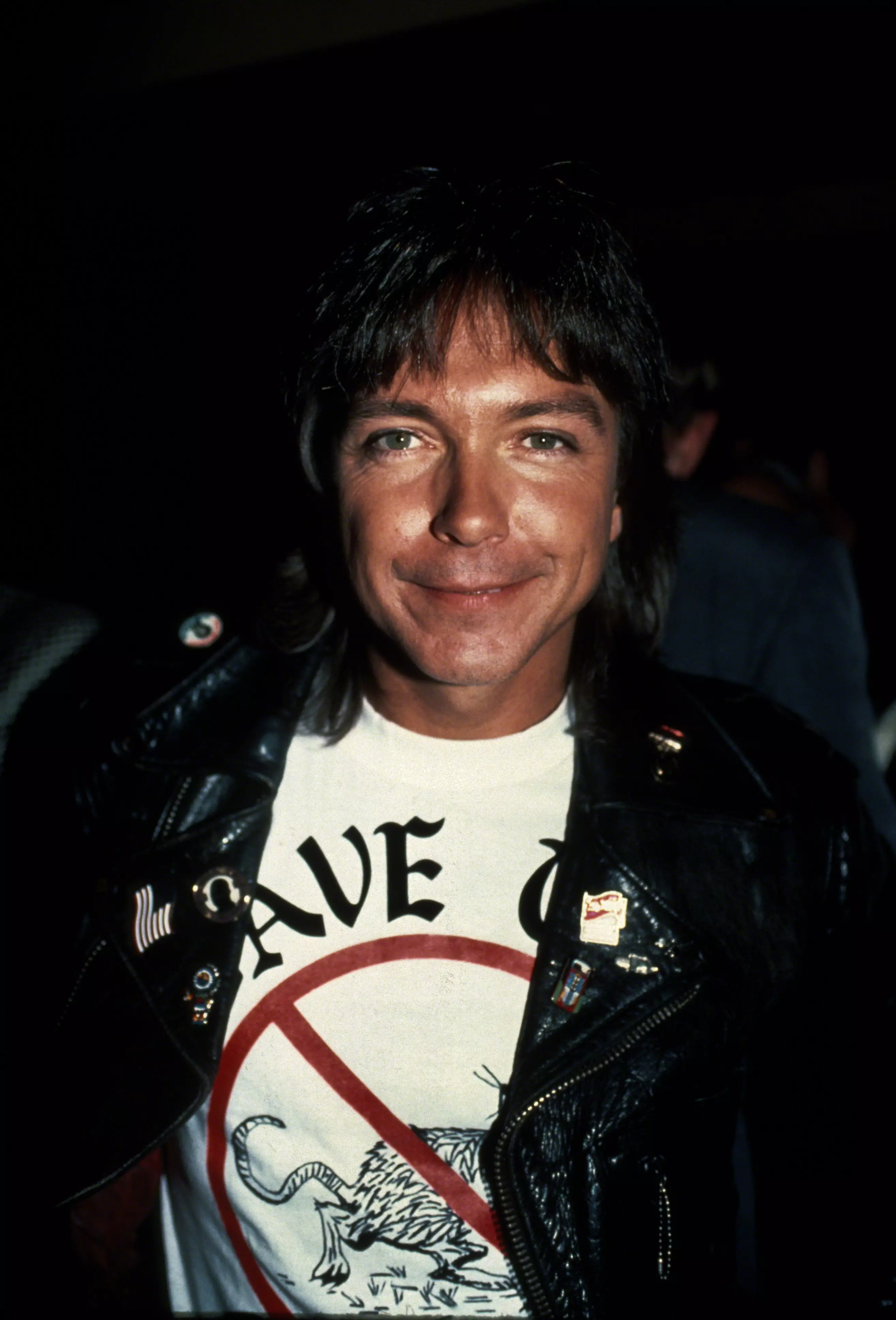 David-cassidy-1990