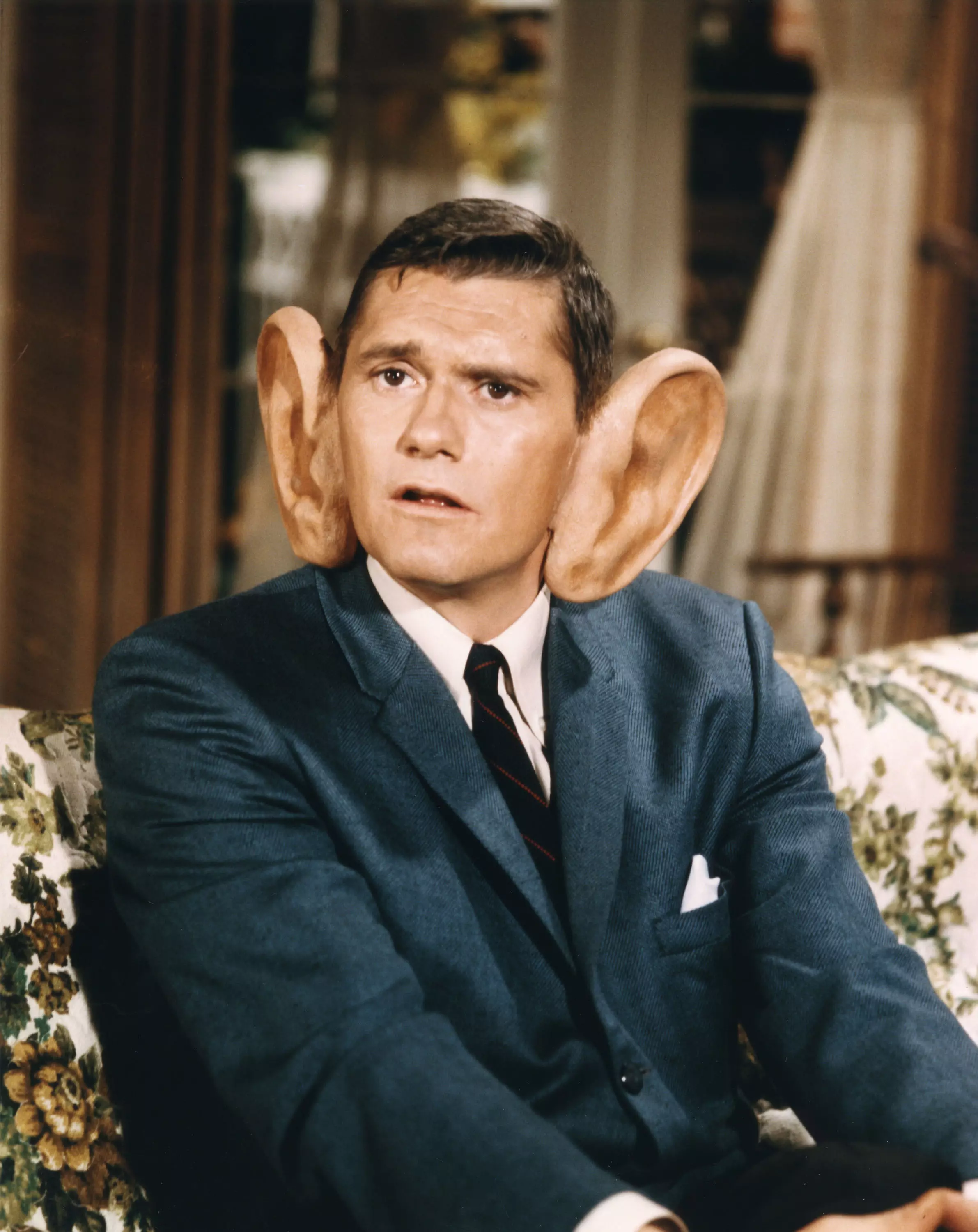 Dick-York-zaczarowany