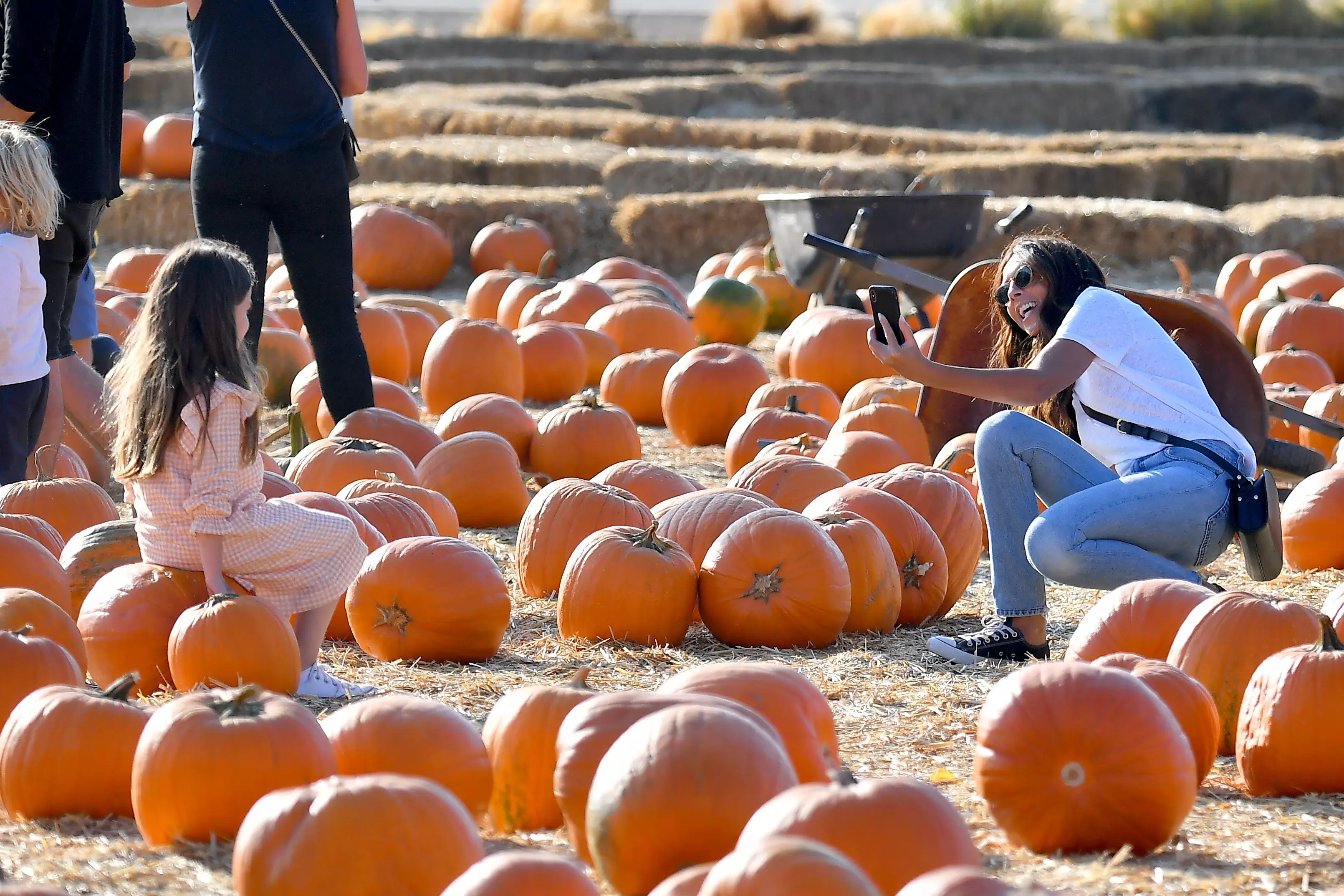 Si Lauren Silverman, ang uyab ni Simon Cowell ug ang iyang ex nga si Terri Seymour nalingaw sa usa ka adlaw sa usa ka pumpkin patch uban sa ilang mga anak