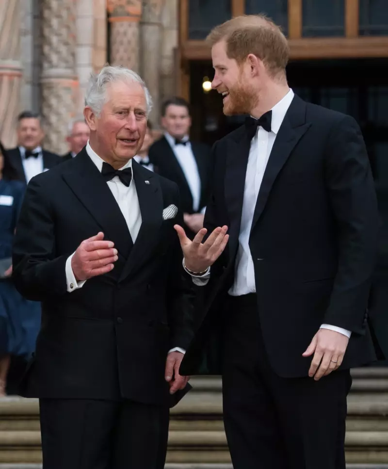 prince-harry-prince-charles