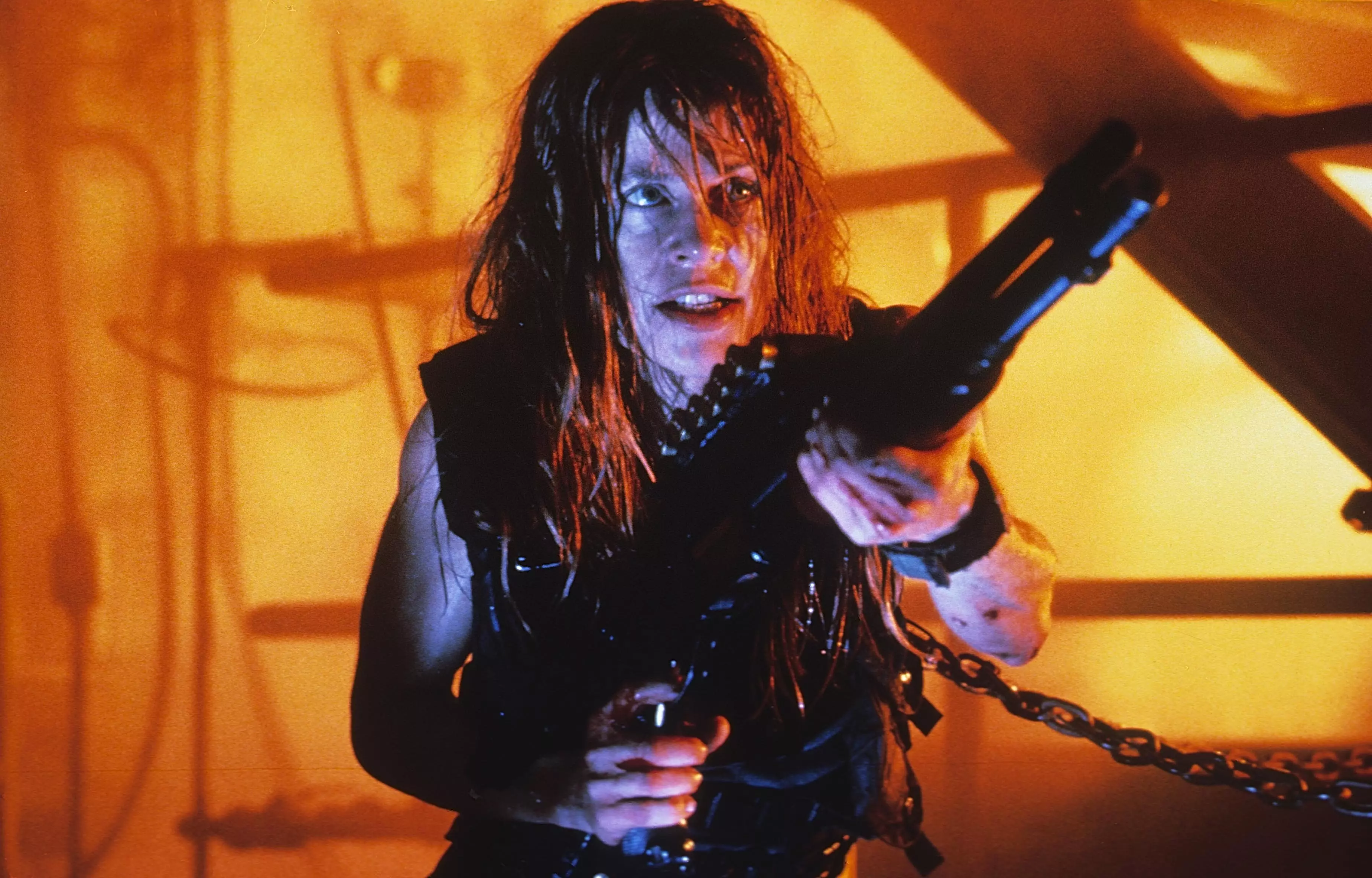 Linda-hamilton-terminator