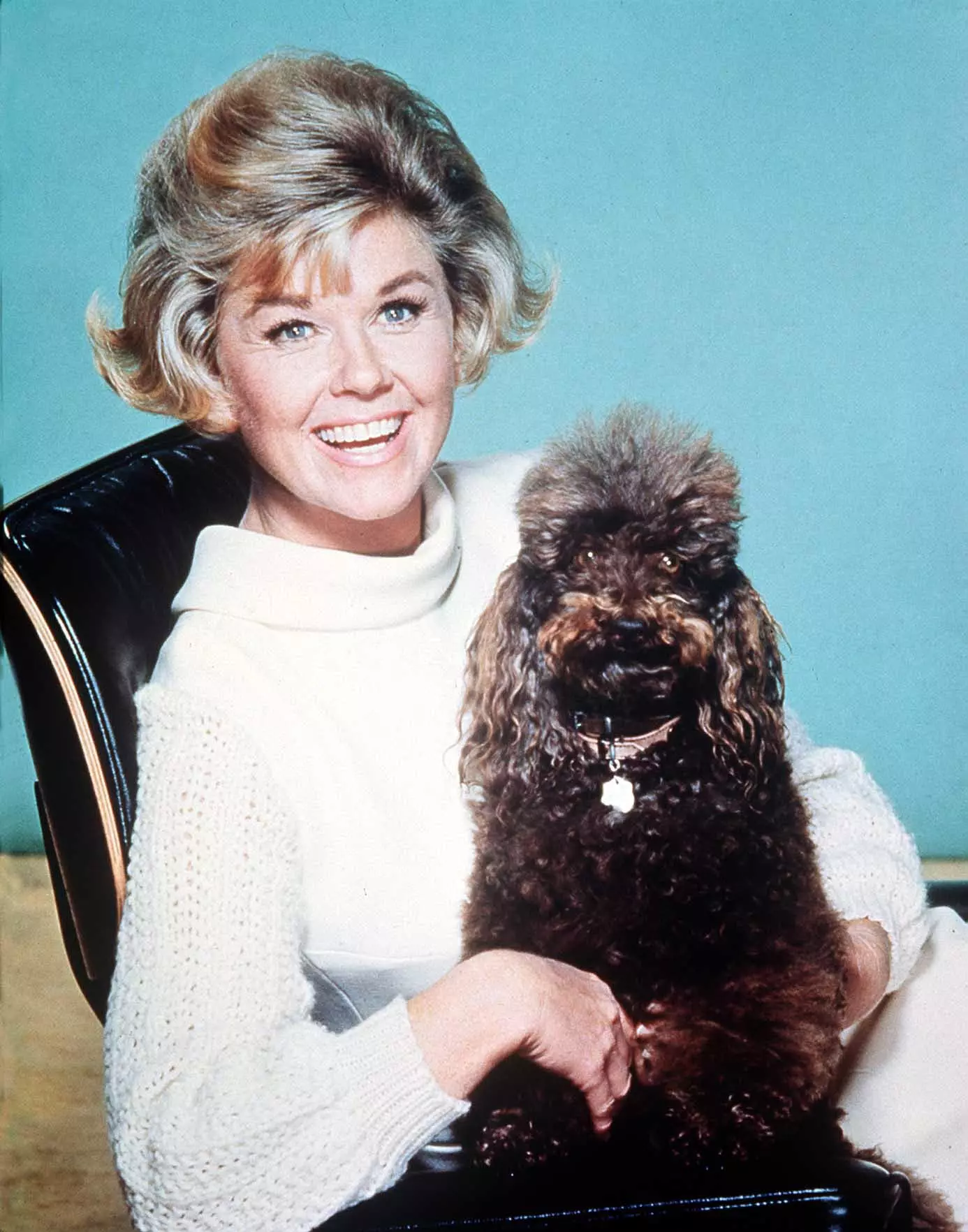 imaxes de doris day getty