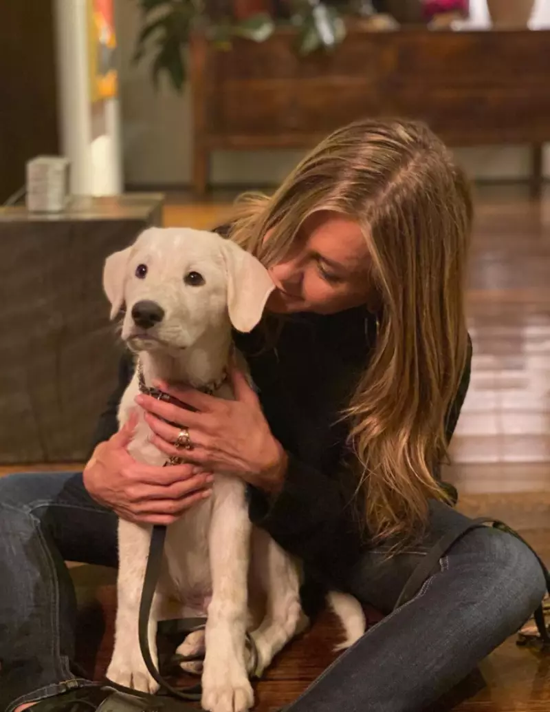 Foto Anjing Jennifer Aniston