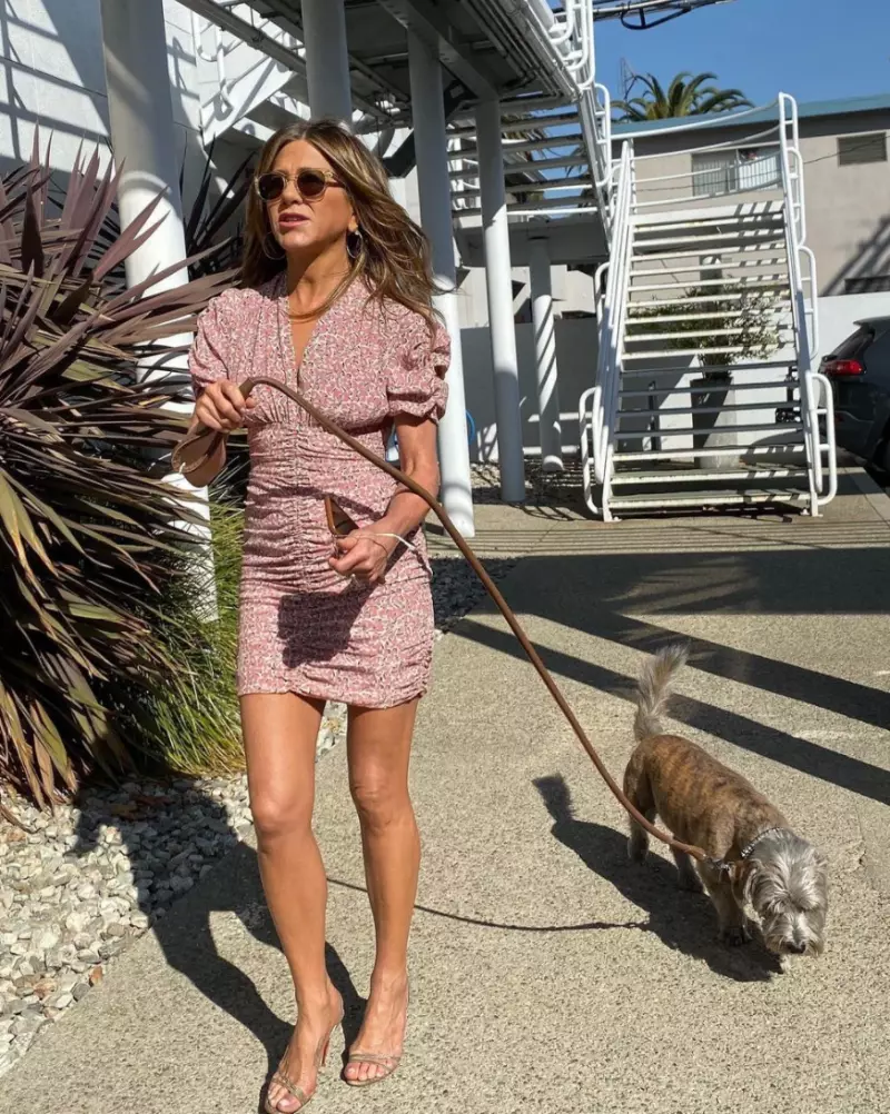 រូបថតរបស់ Jennifer Aniston's Dogs