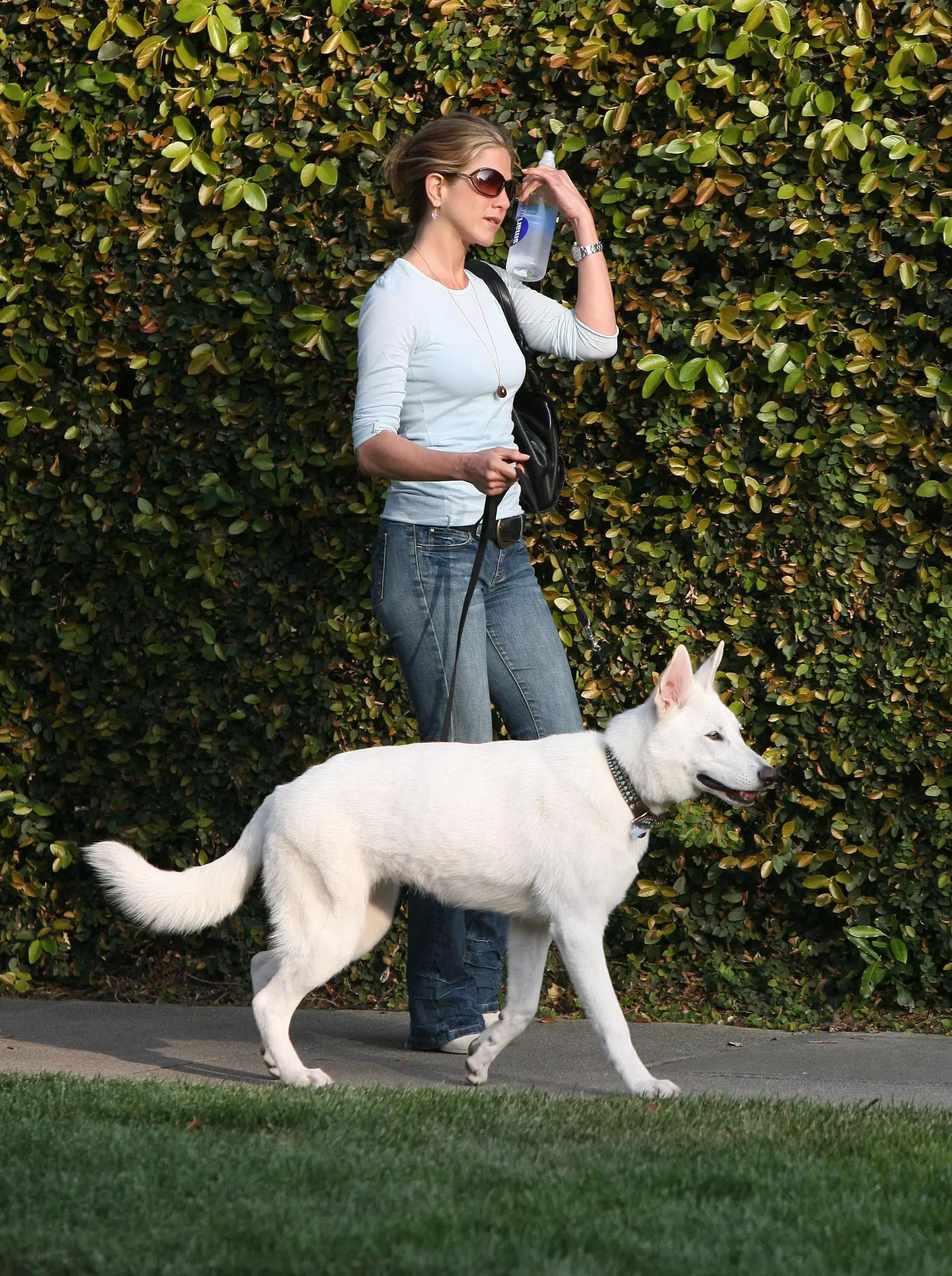 រូបថតរបស់ Jennifer Aniston's Dogs