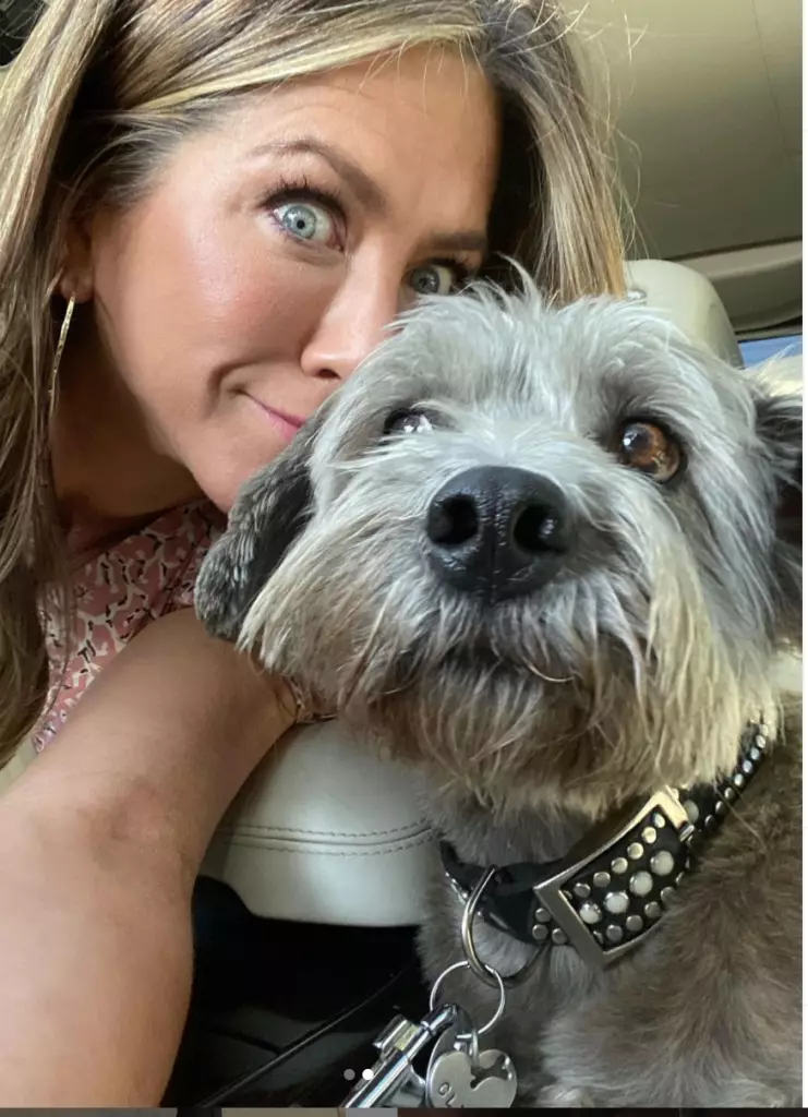 រូបថតរបស់ Jennifer Aniston's Dogs