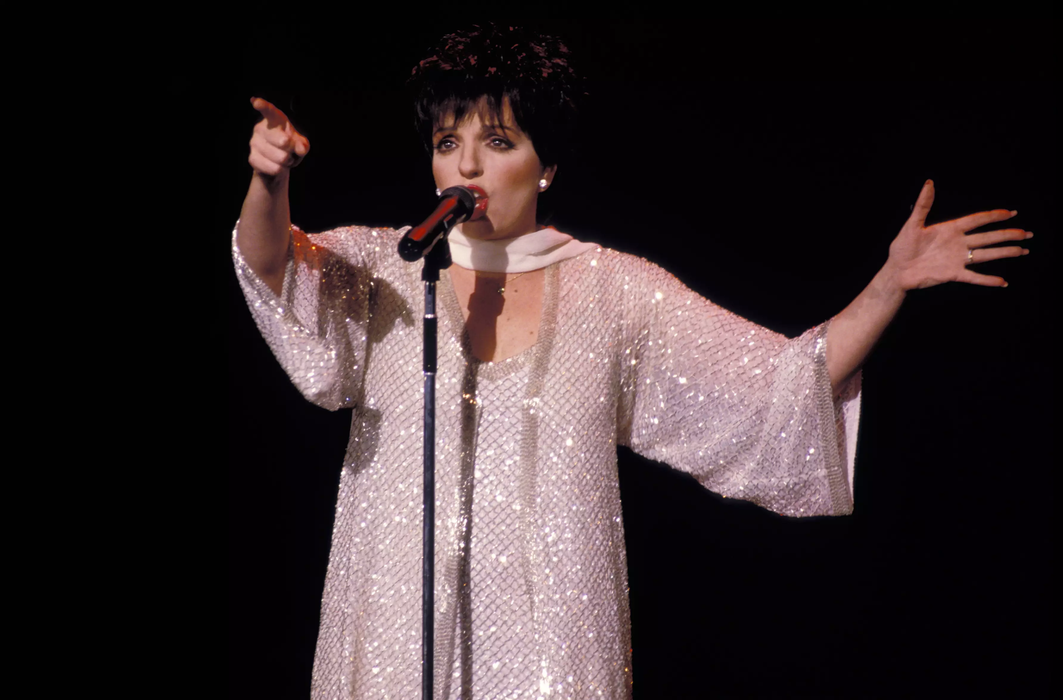 liza minnelli o bina 2