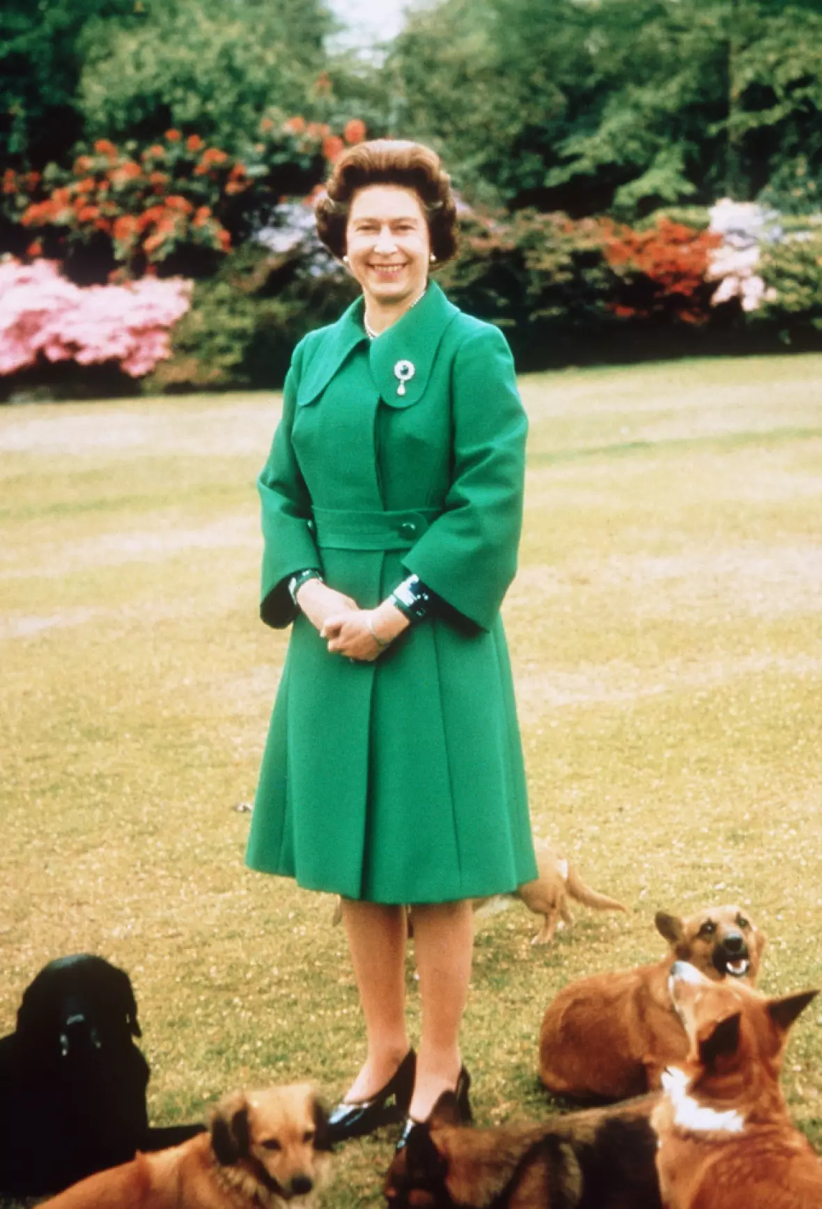 queen elizabeth corgis getty billeder