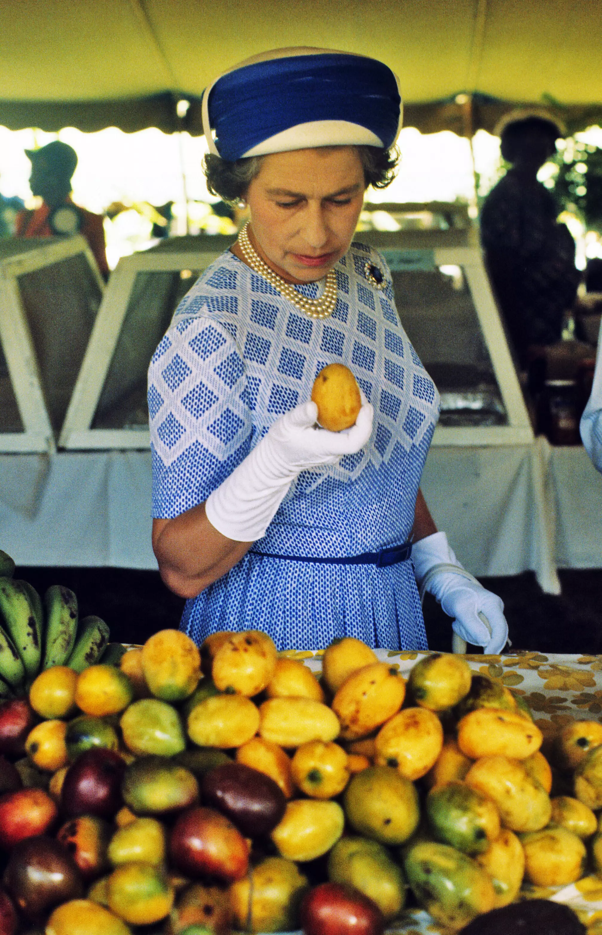 dronning-elizabeth-mango