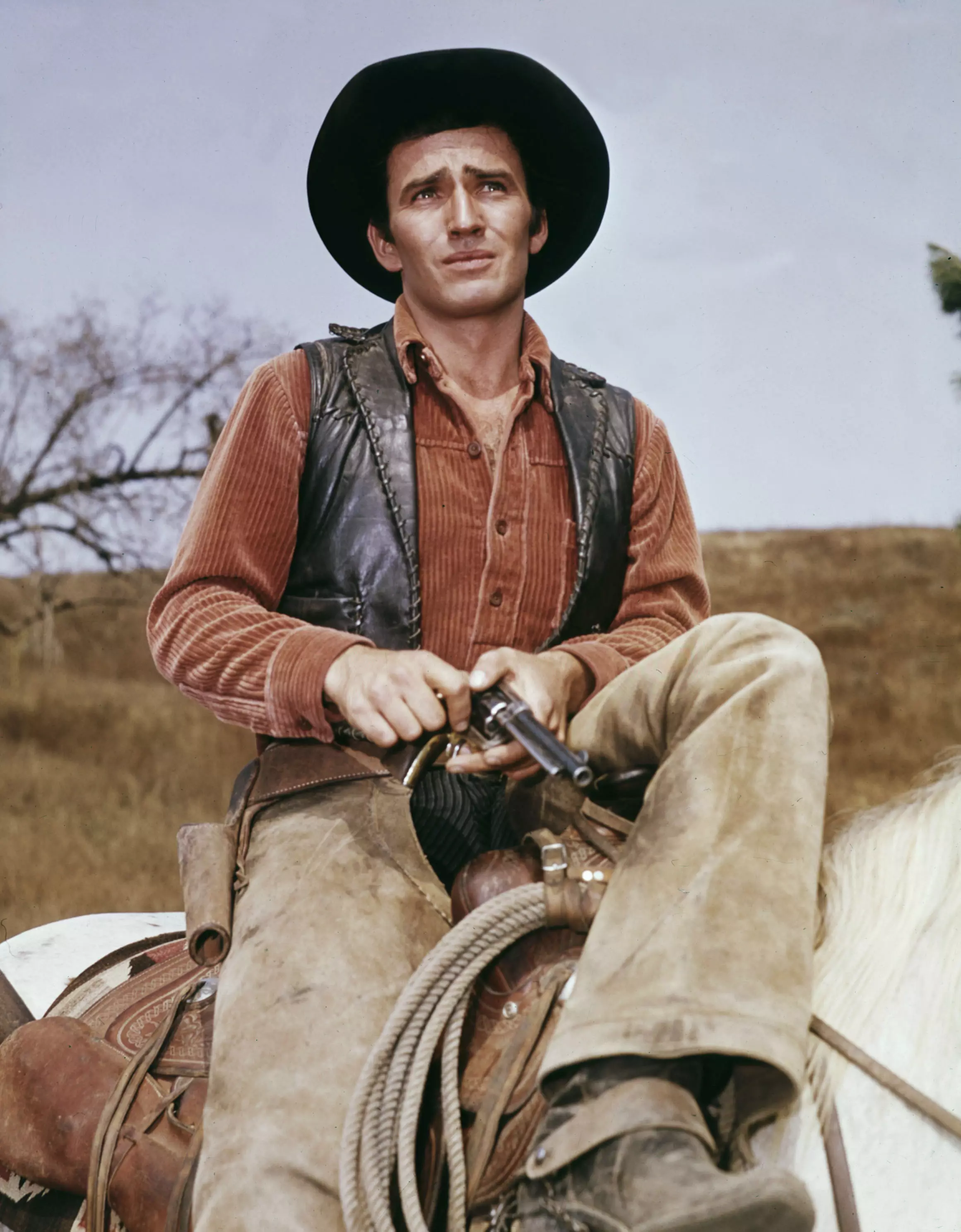 James Drury