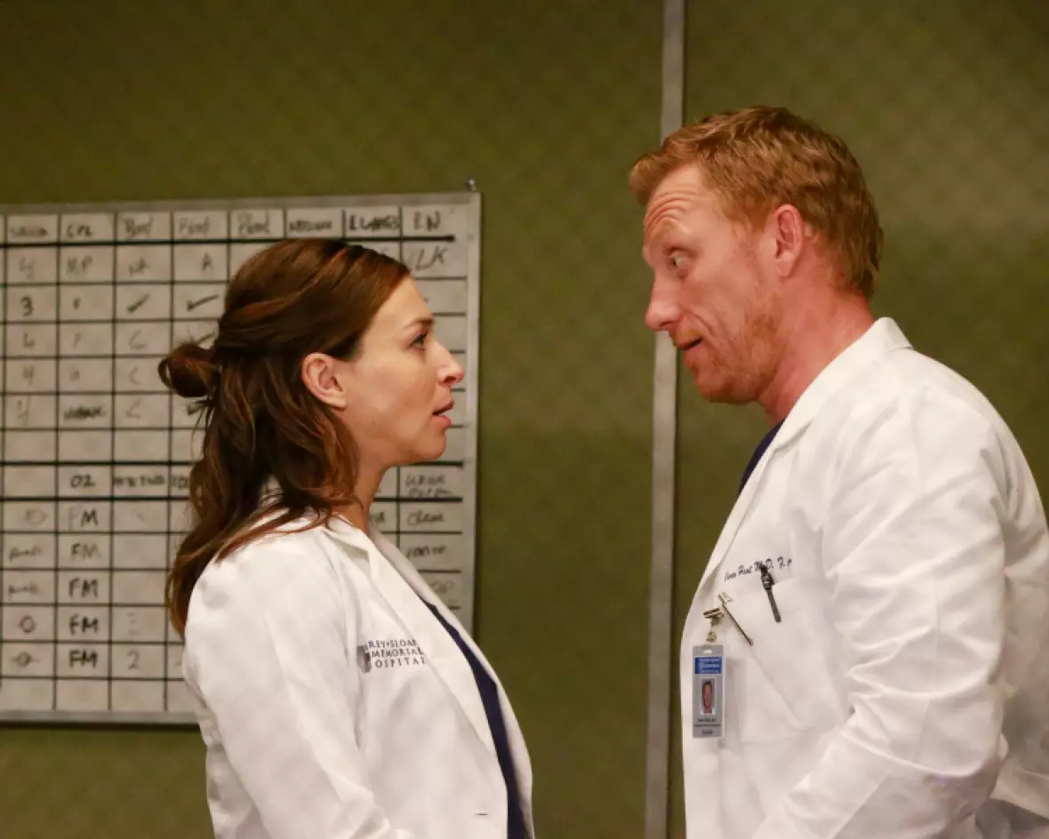 amelia shepherd owen hunt