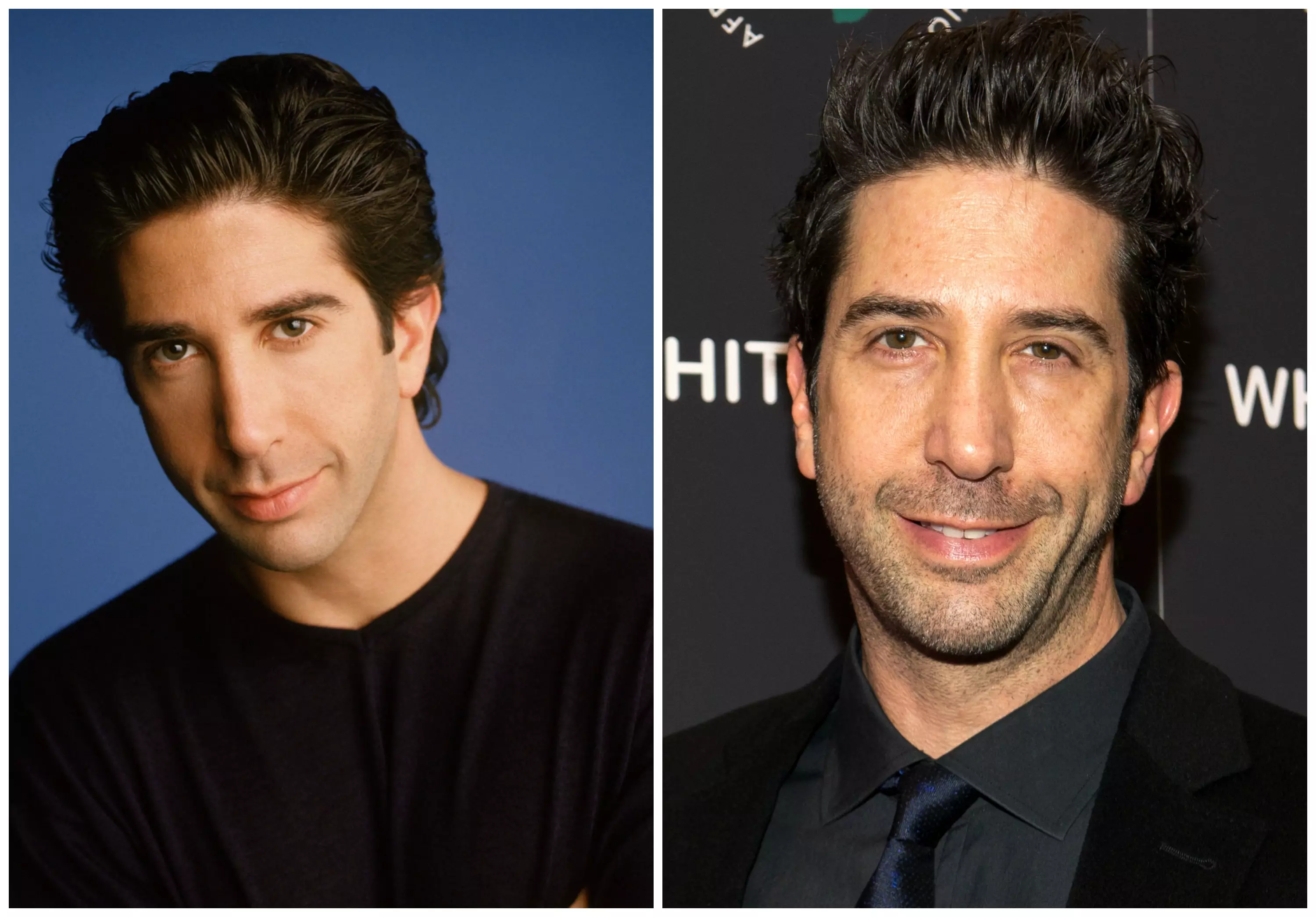 david schwimmer