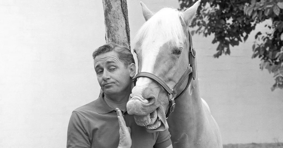 'Mister Ed': Klassiki teleýaýlym görkezişini we şol gürleşýän aty ýada salmak