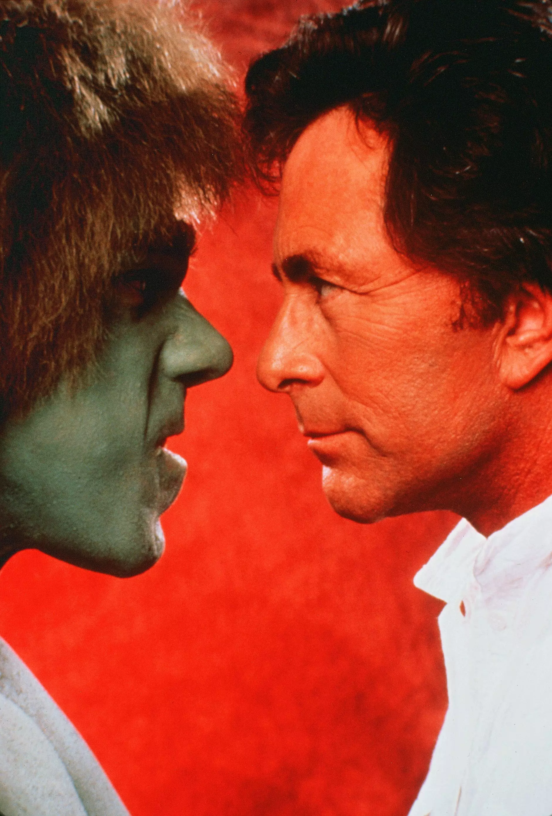 bill-bixby-lou-ferrigno-the-hulk