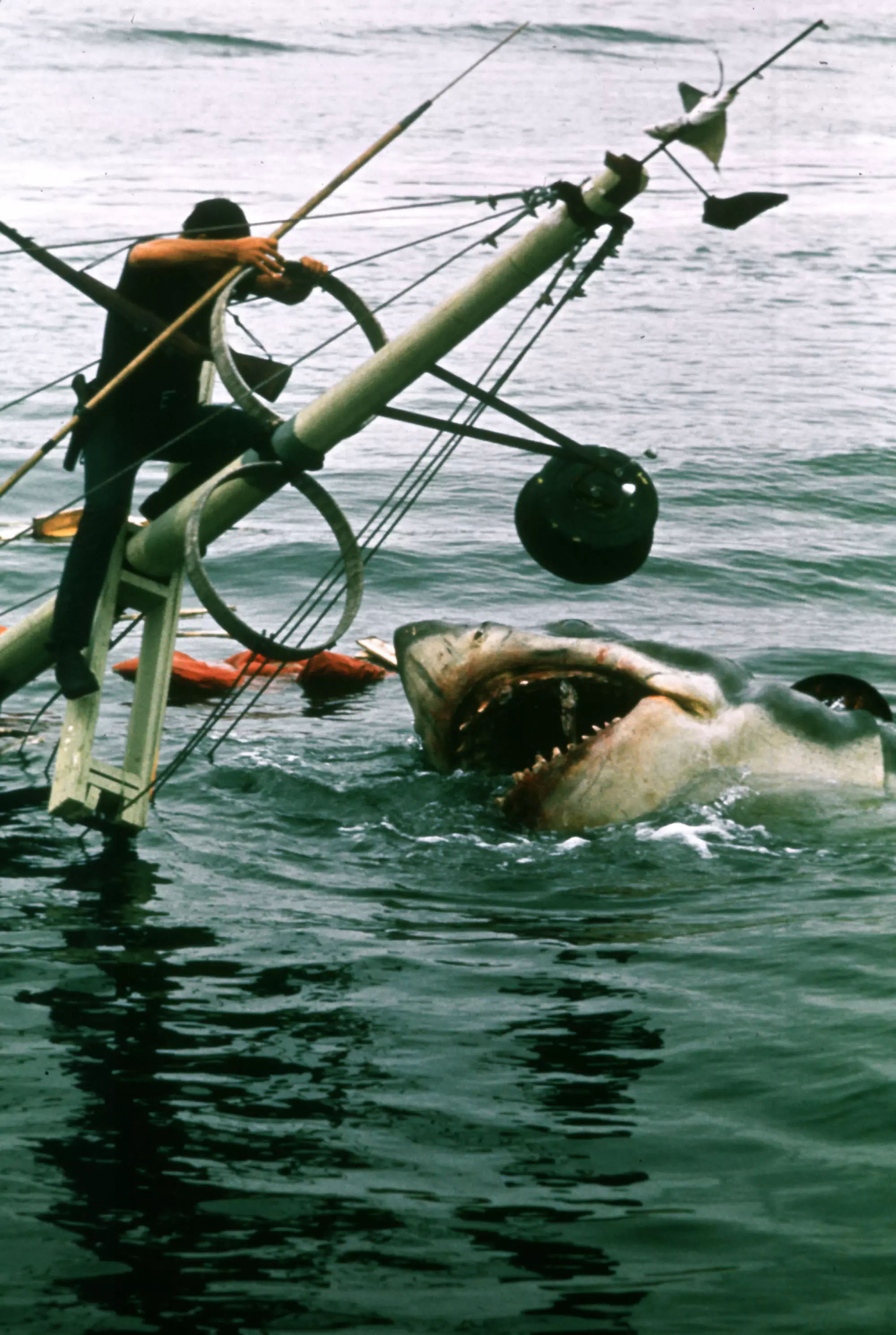 roy-scheider-jaws