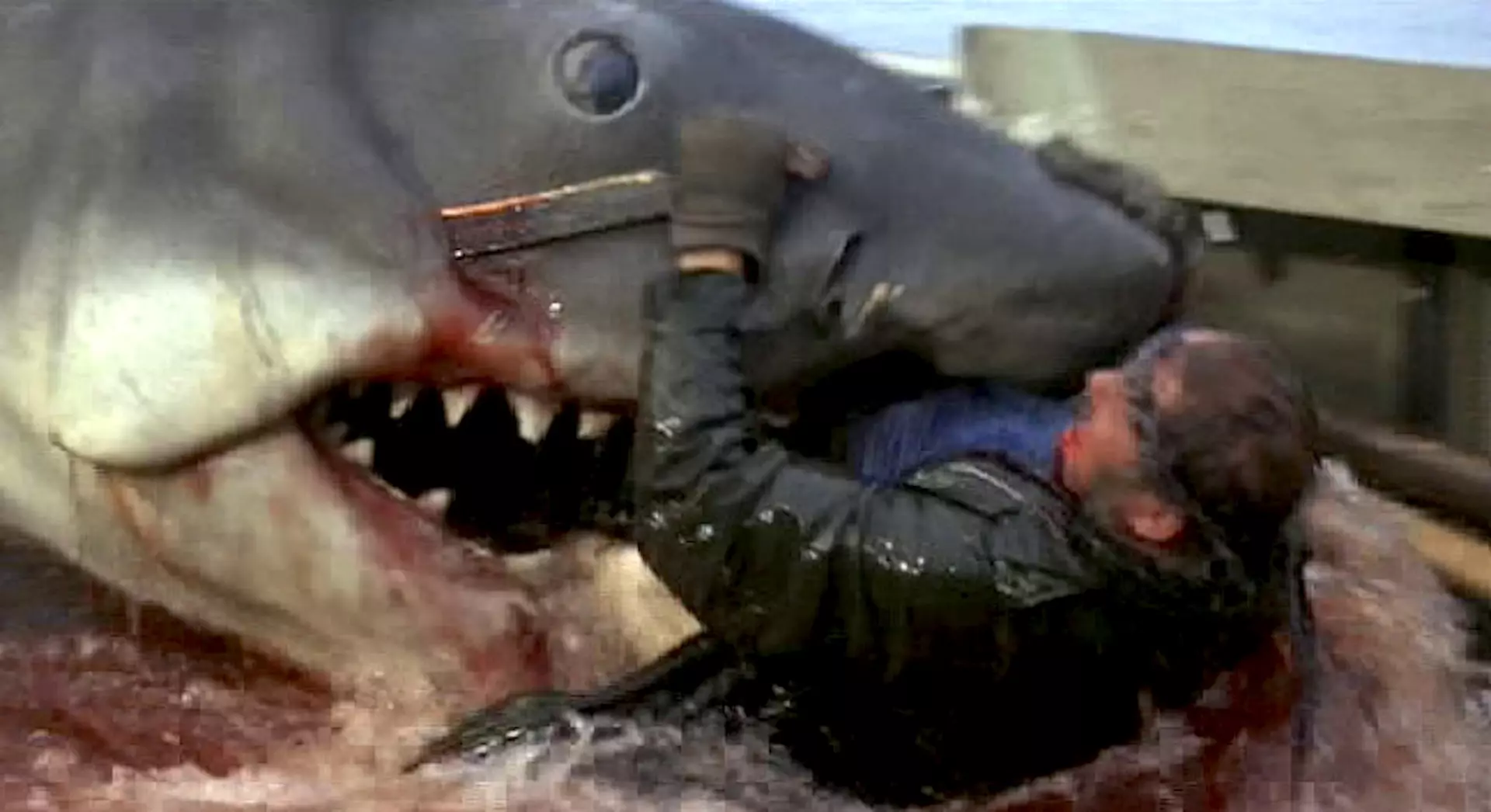 robert-shaw-jaws