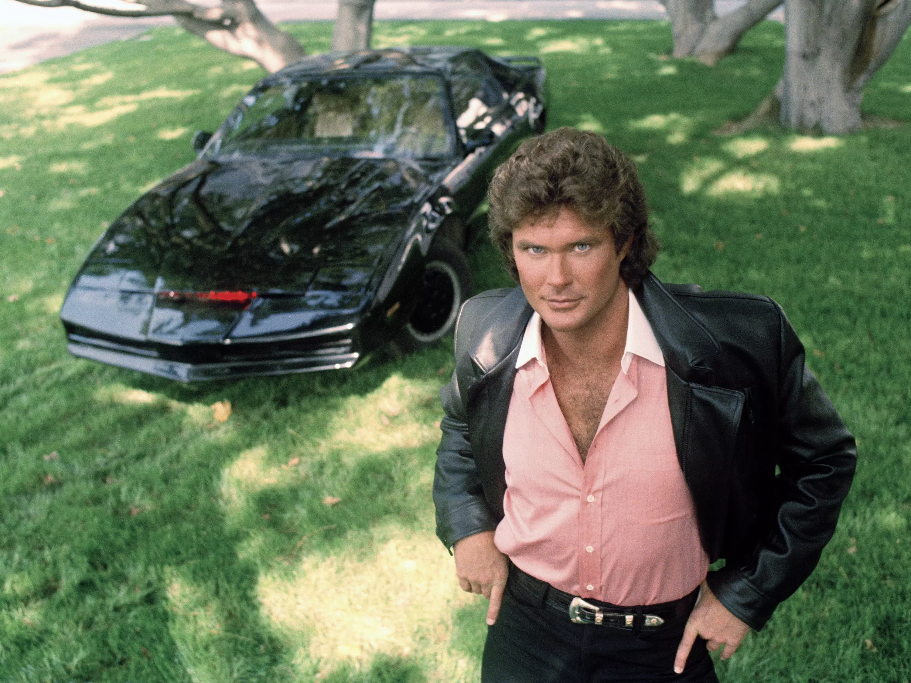 knight-wokwera-david-hasselhoff