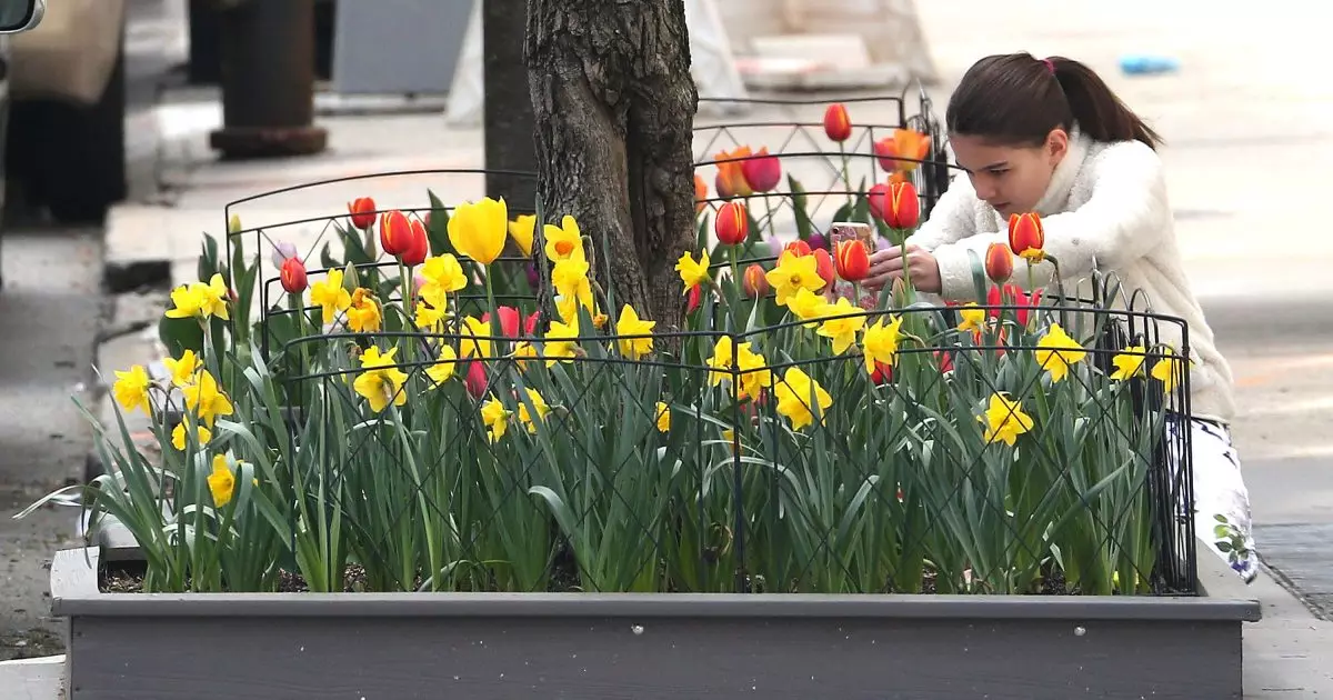 Suri Cruise face fotografii cu flori în New York City