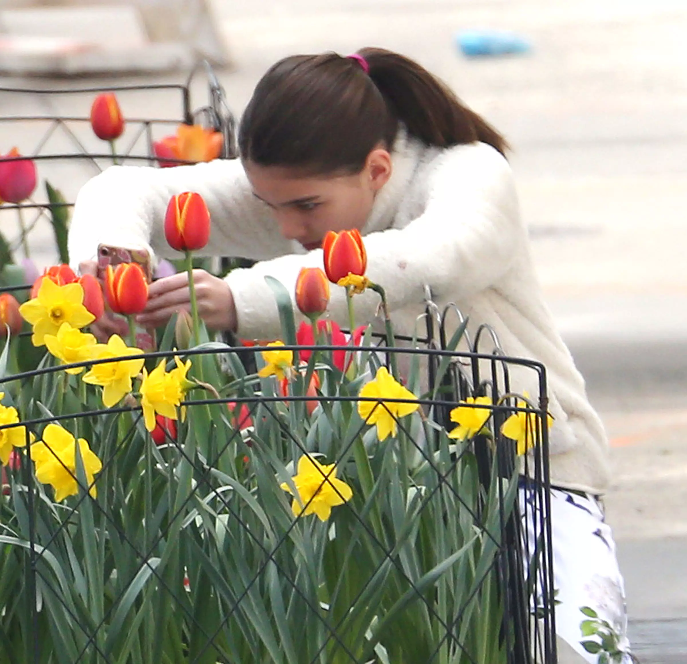 Suri Cruise