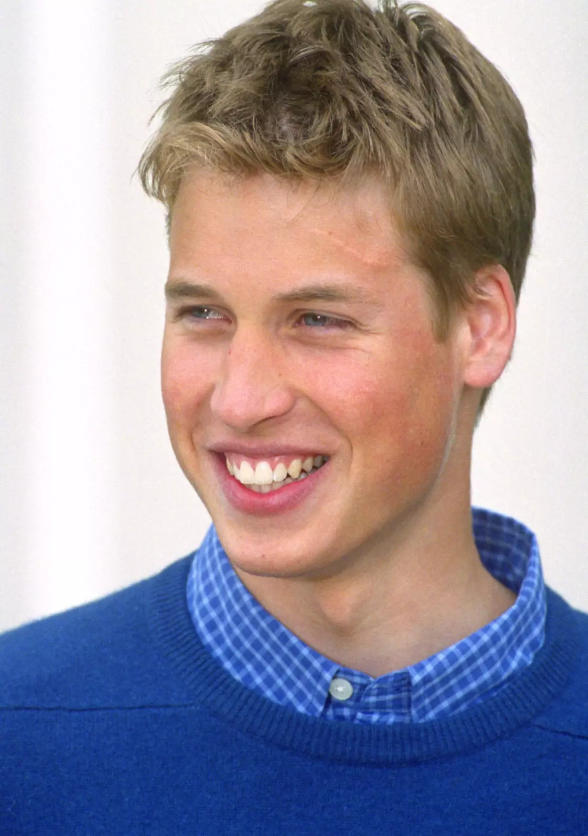 Prince William aleebu