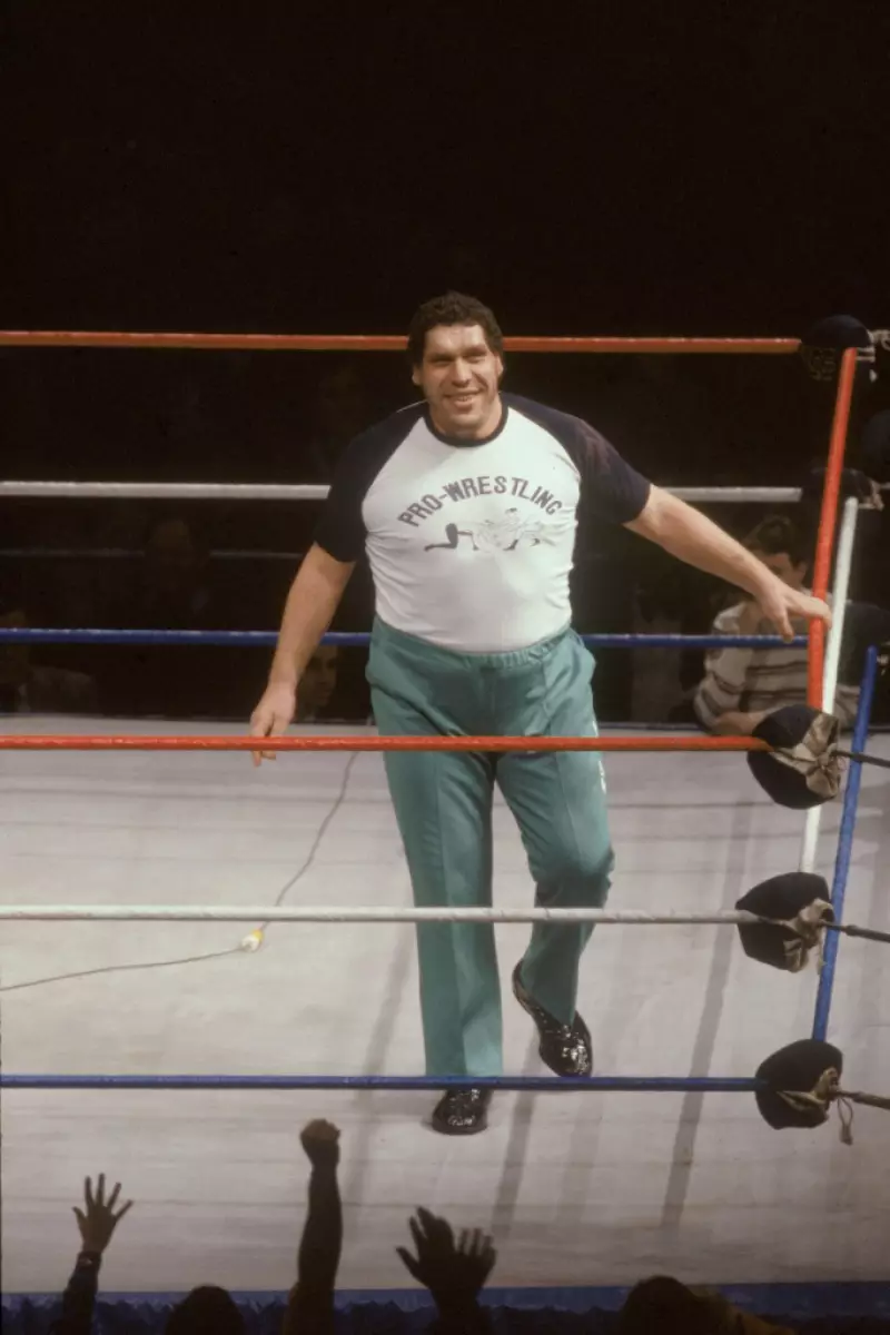 André el gigante