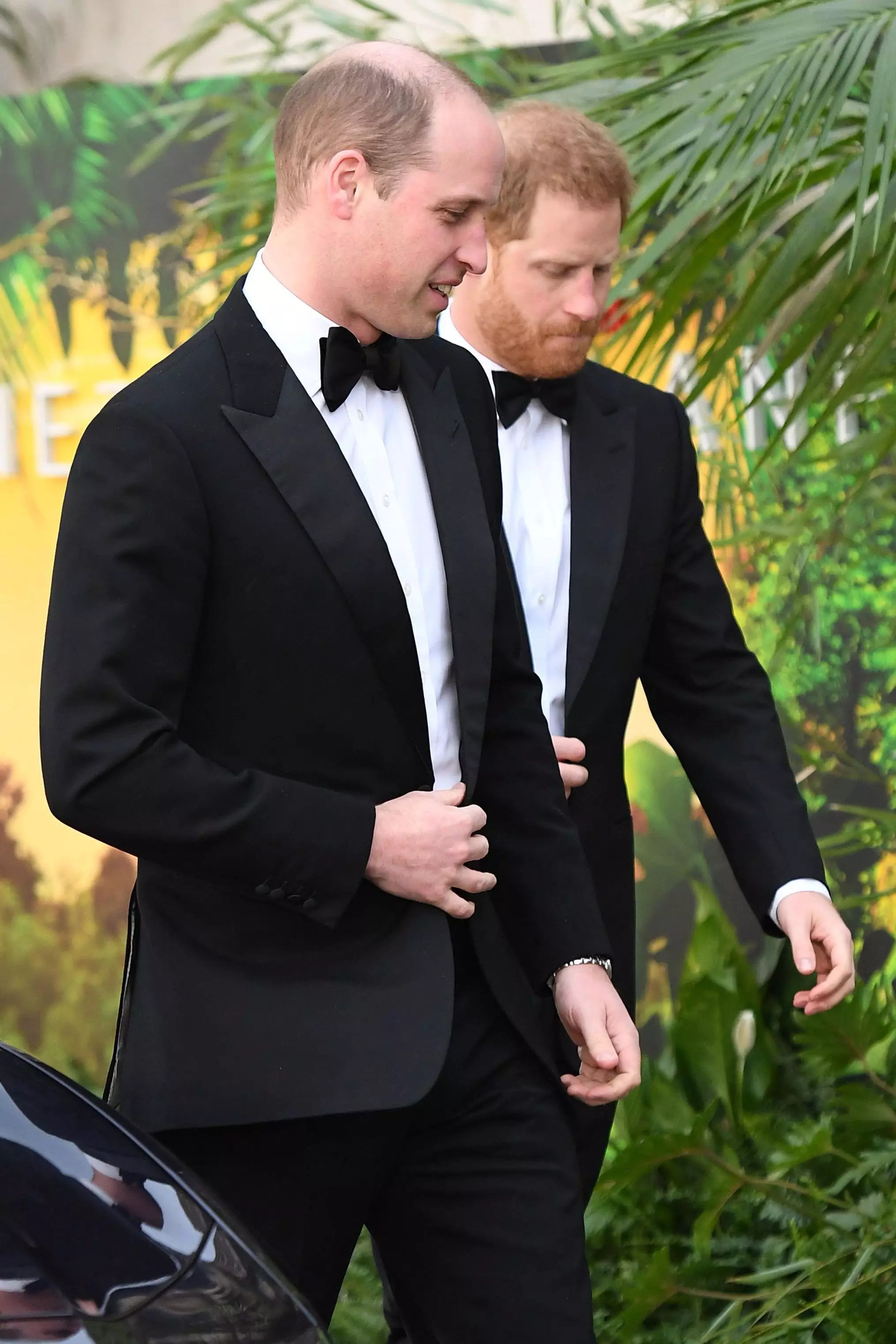 Prinz-William-und-Prinz-Harry