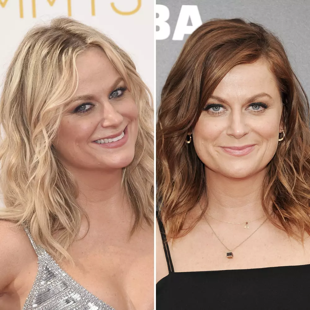 amy-poehler-၄၆