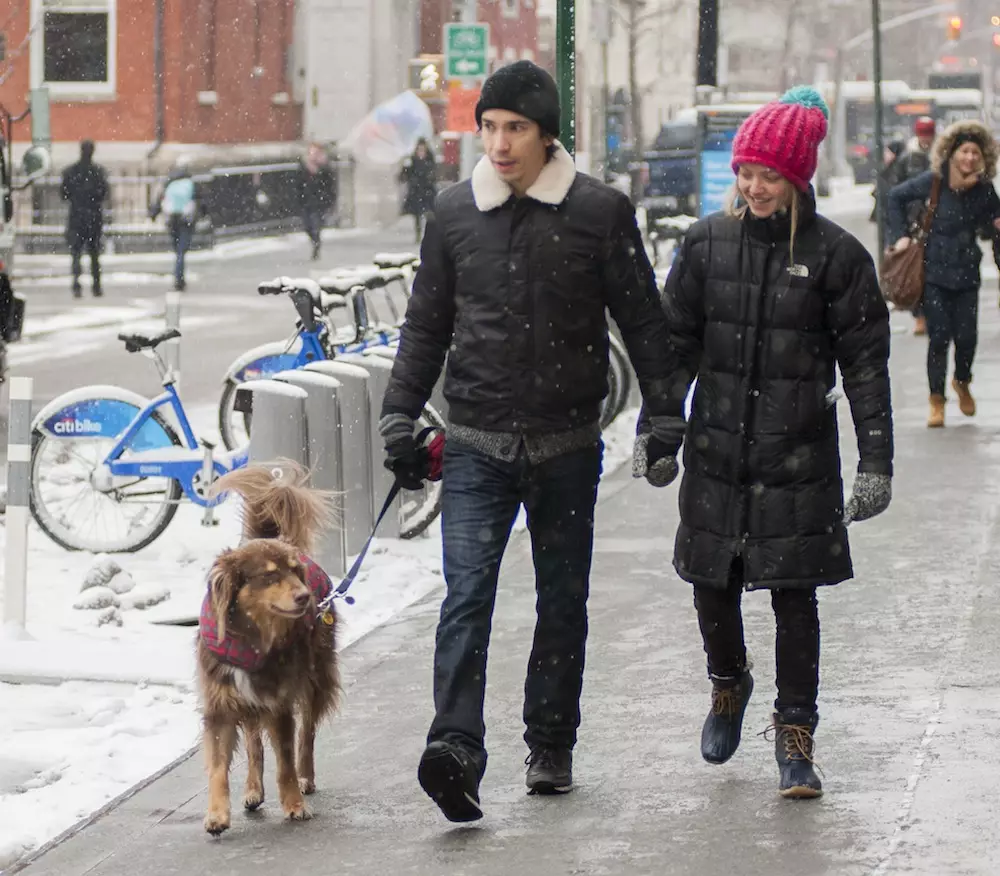 amanda-seyfried-justin-long-dog