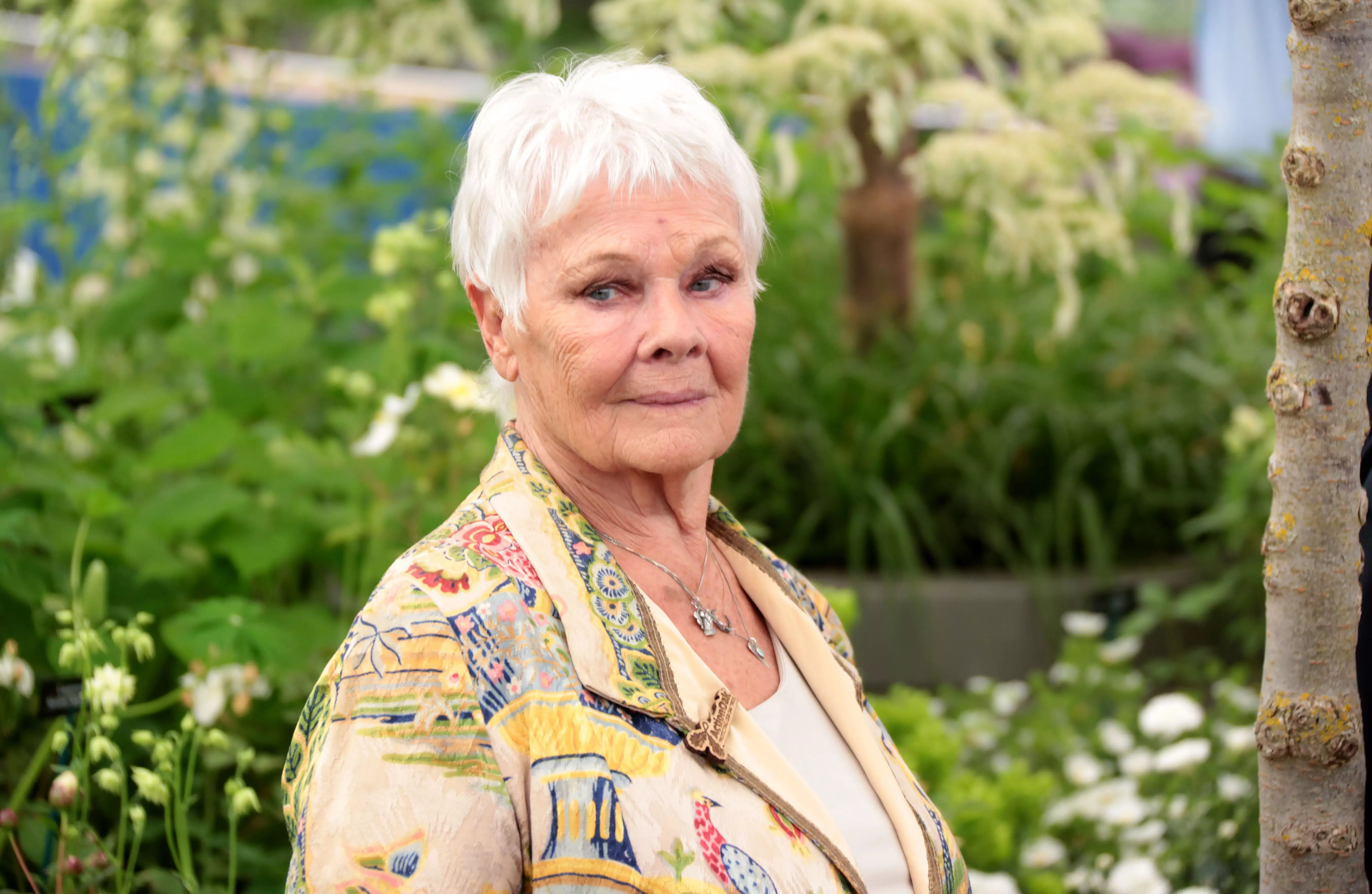 Judi Dench