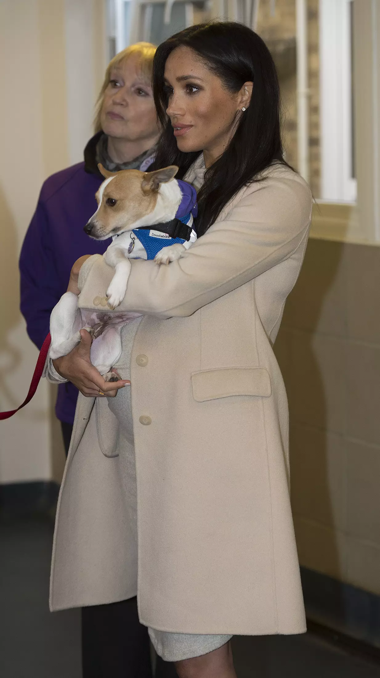 Meghan, Duchess of Sussex dia nihaona tamin'i Jack Russell antsoina hoe