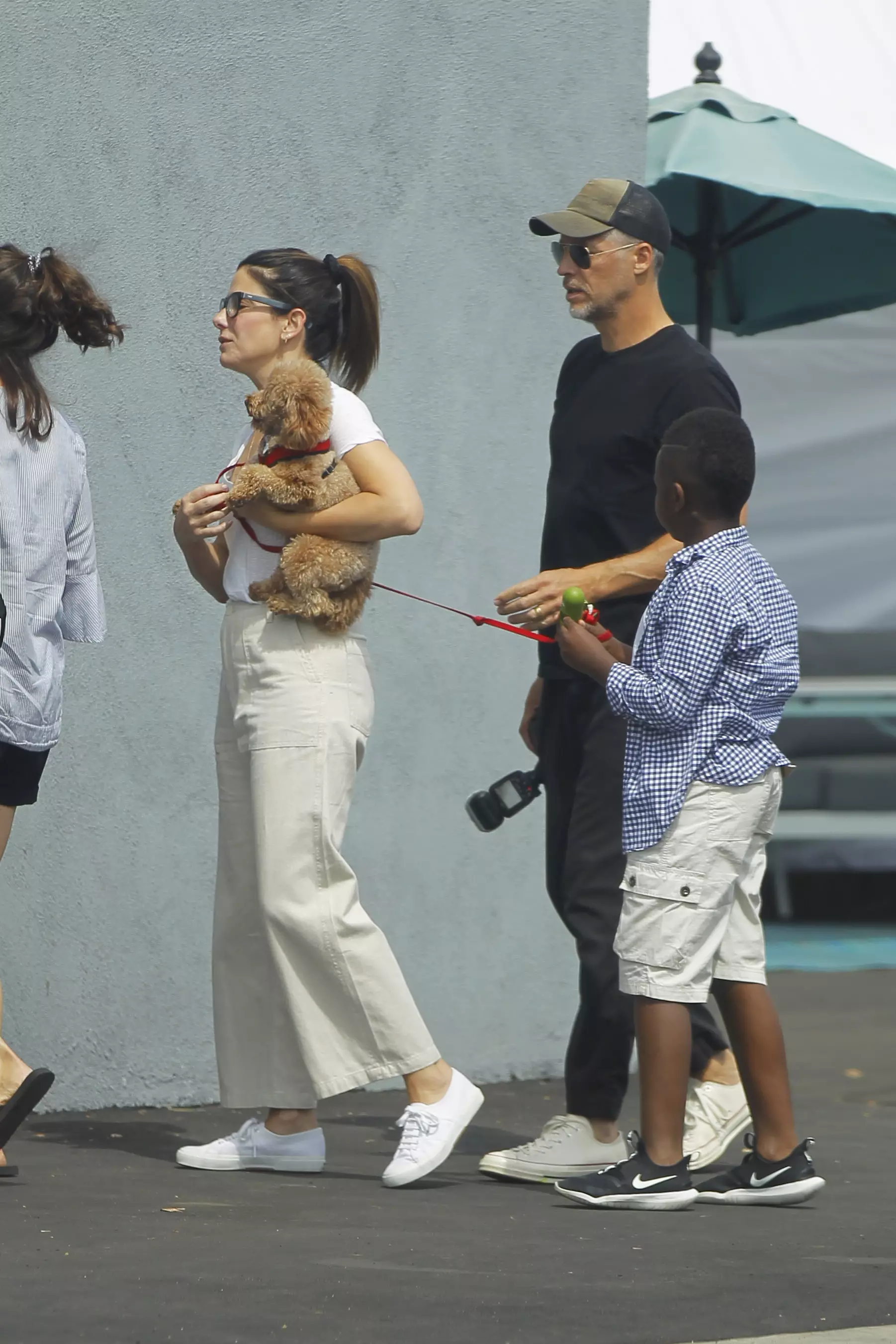 Sandra Bullock ak konpayon li Bryan Randall pran pooch yo nan magazen bèt kay la nan West Hollywood!