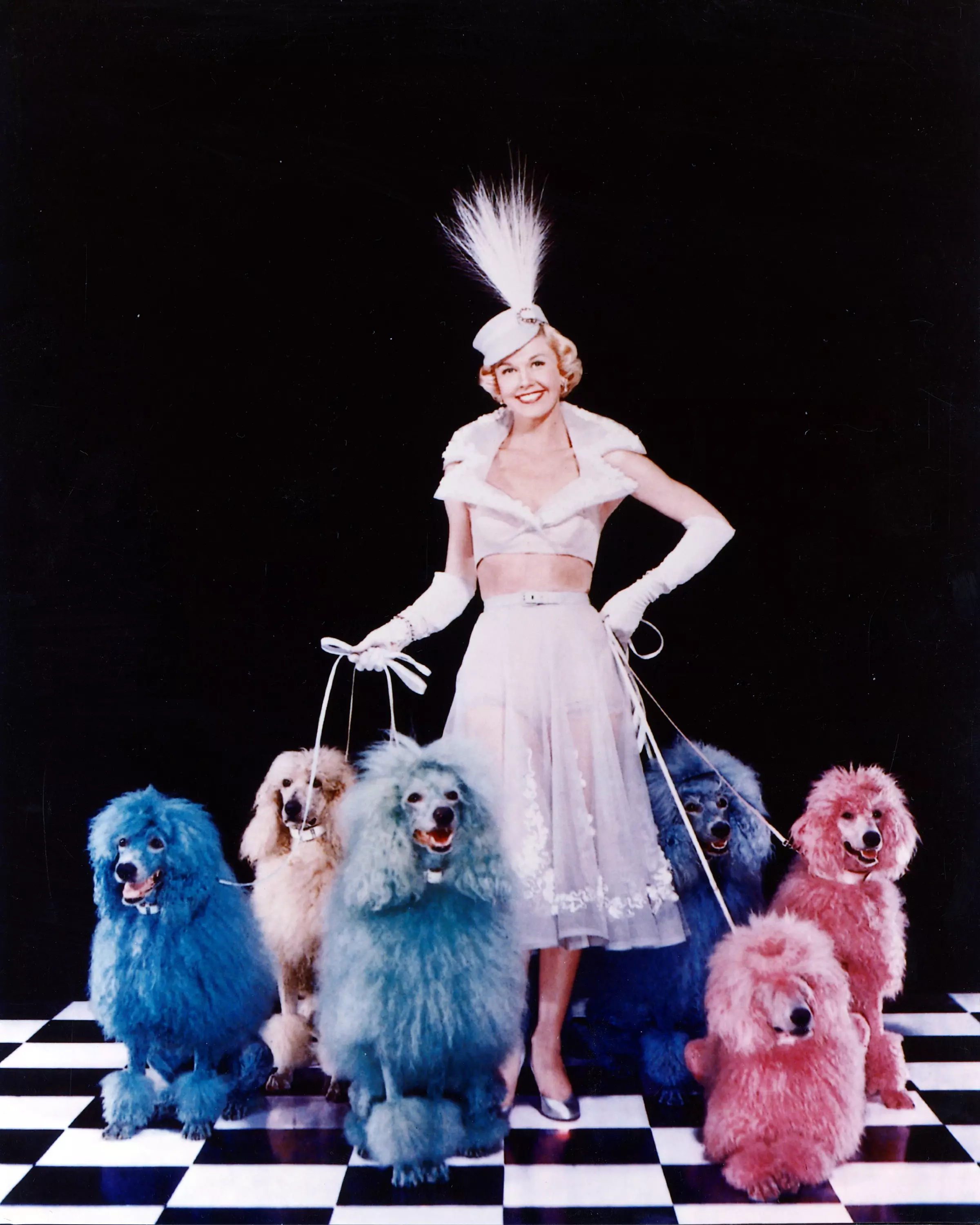 doris-day-dogs