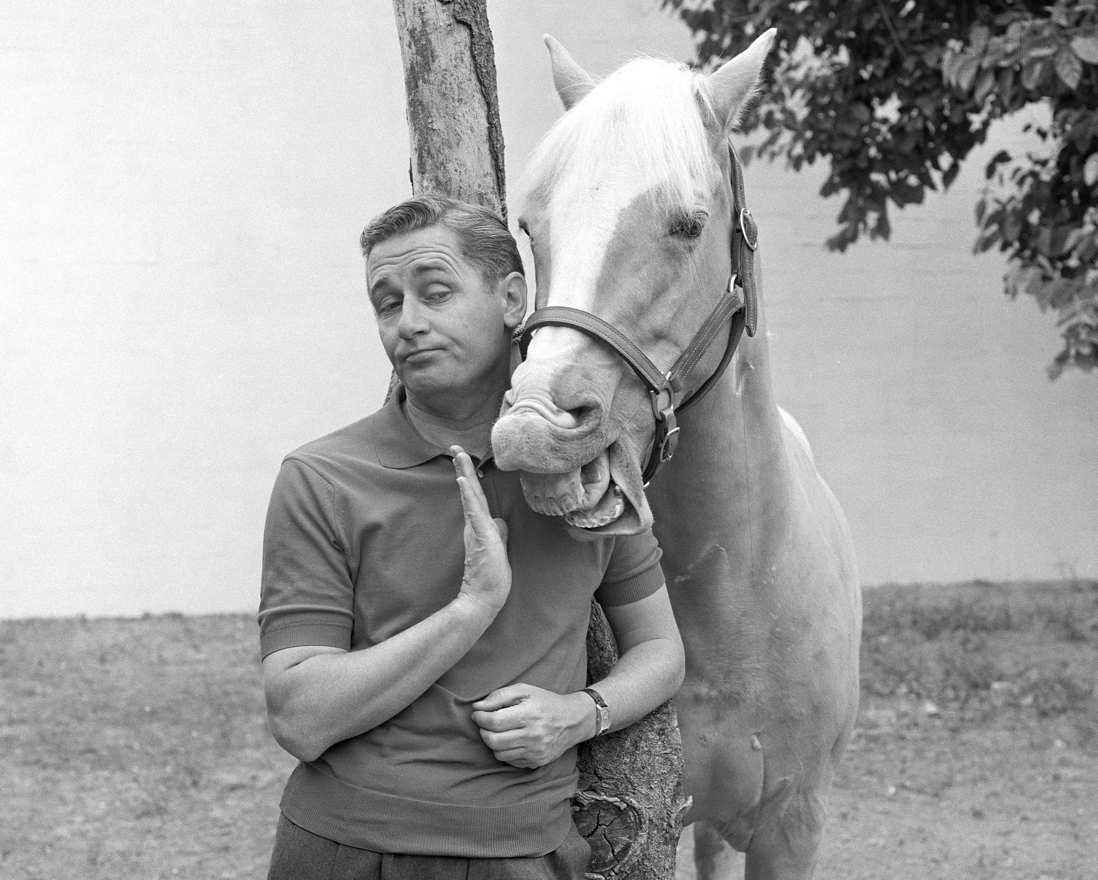 mister-ed-alan-young2