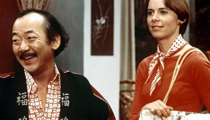 1970 年代电视先生和蒂娜