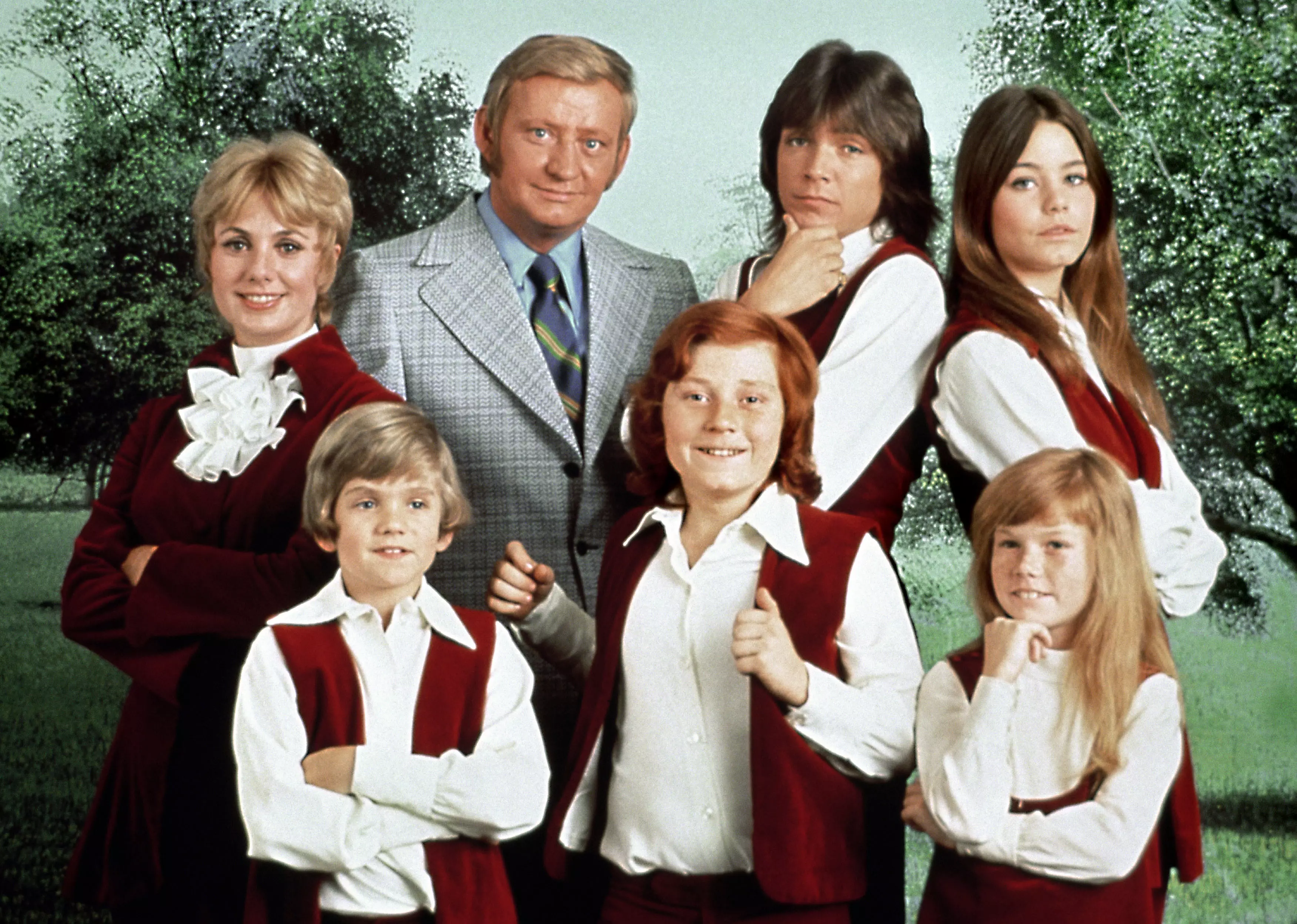 1970 کی دہائی-ٹی وی-دی-تیتر-خاندان