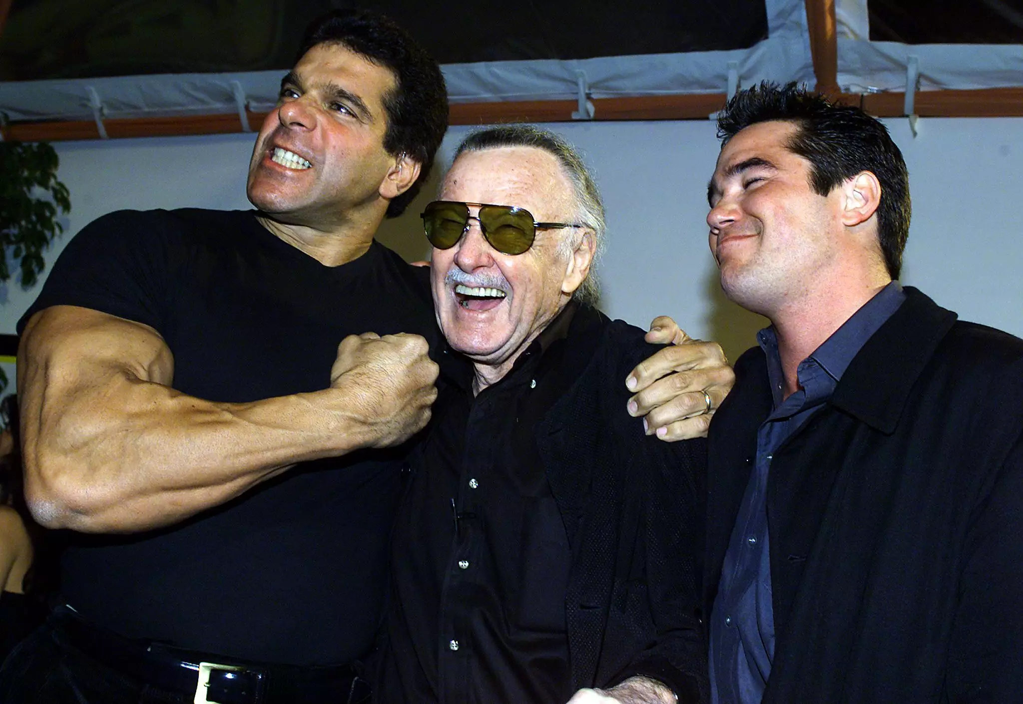 stan-lee-lou-ferrigno-dean-cain