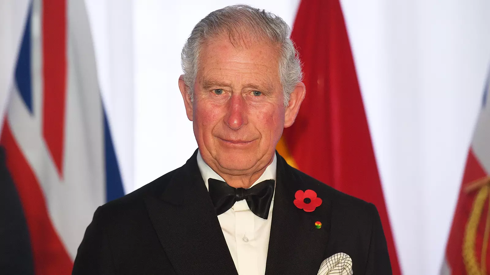 Prince Charles ມົນລະພິດ