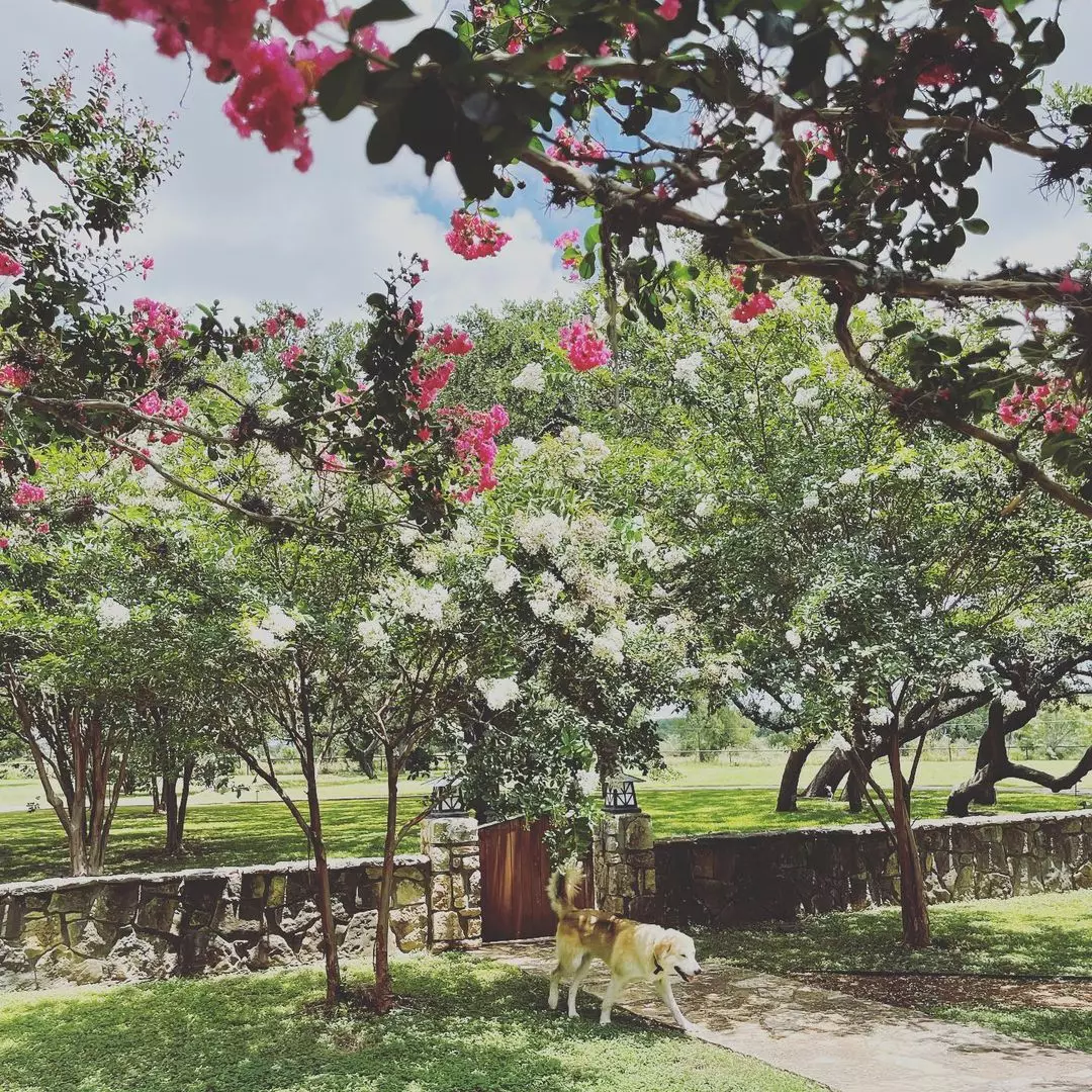 james-van-der-beeks-texas-casa-guarda-le-foto-dentro-il-ranch-luglio2021