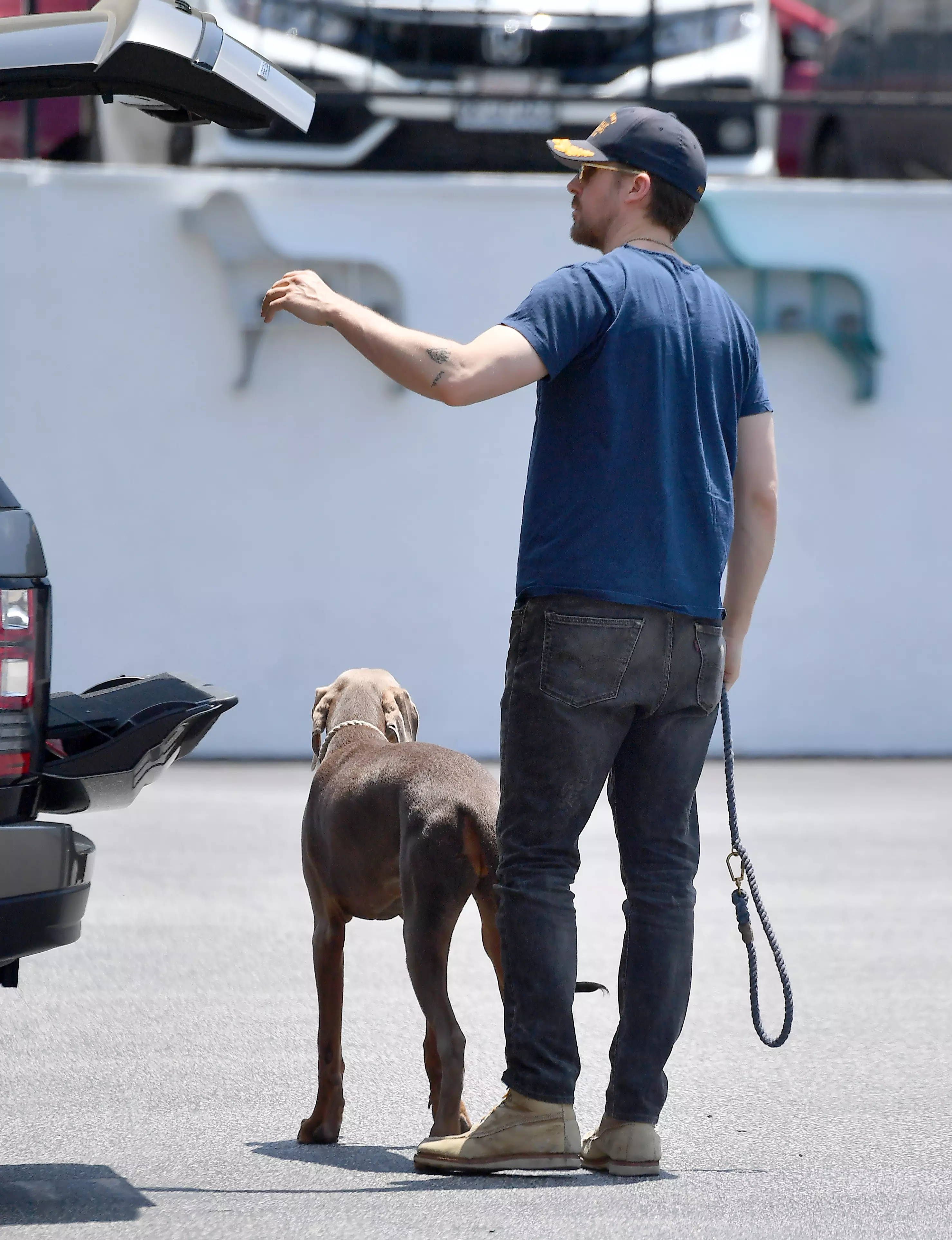 Ryan Gosling dan anjing barunya Lucho