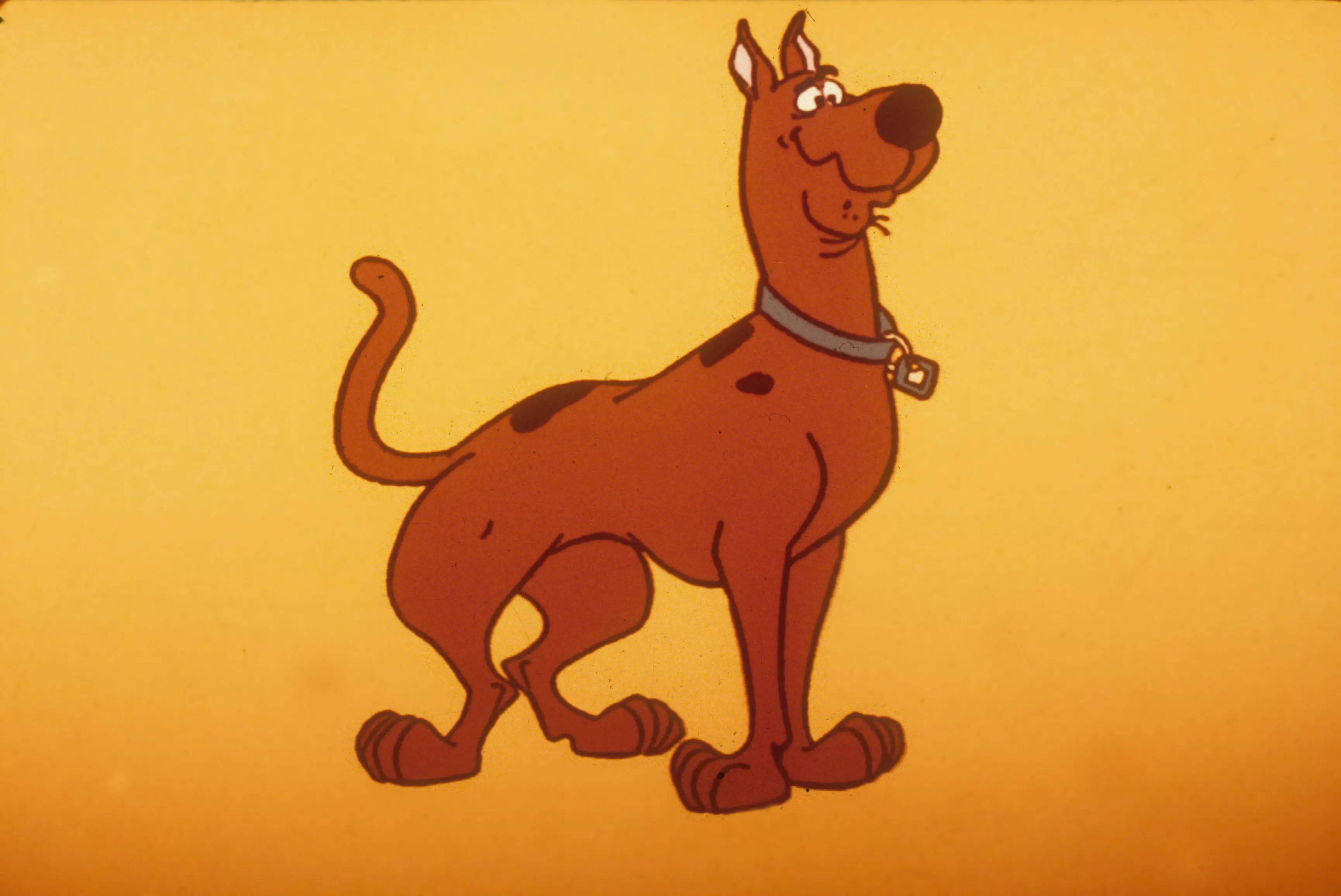 հայտնի-շներ-scooby-doo