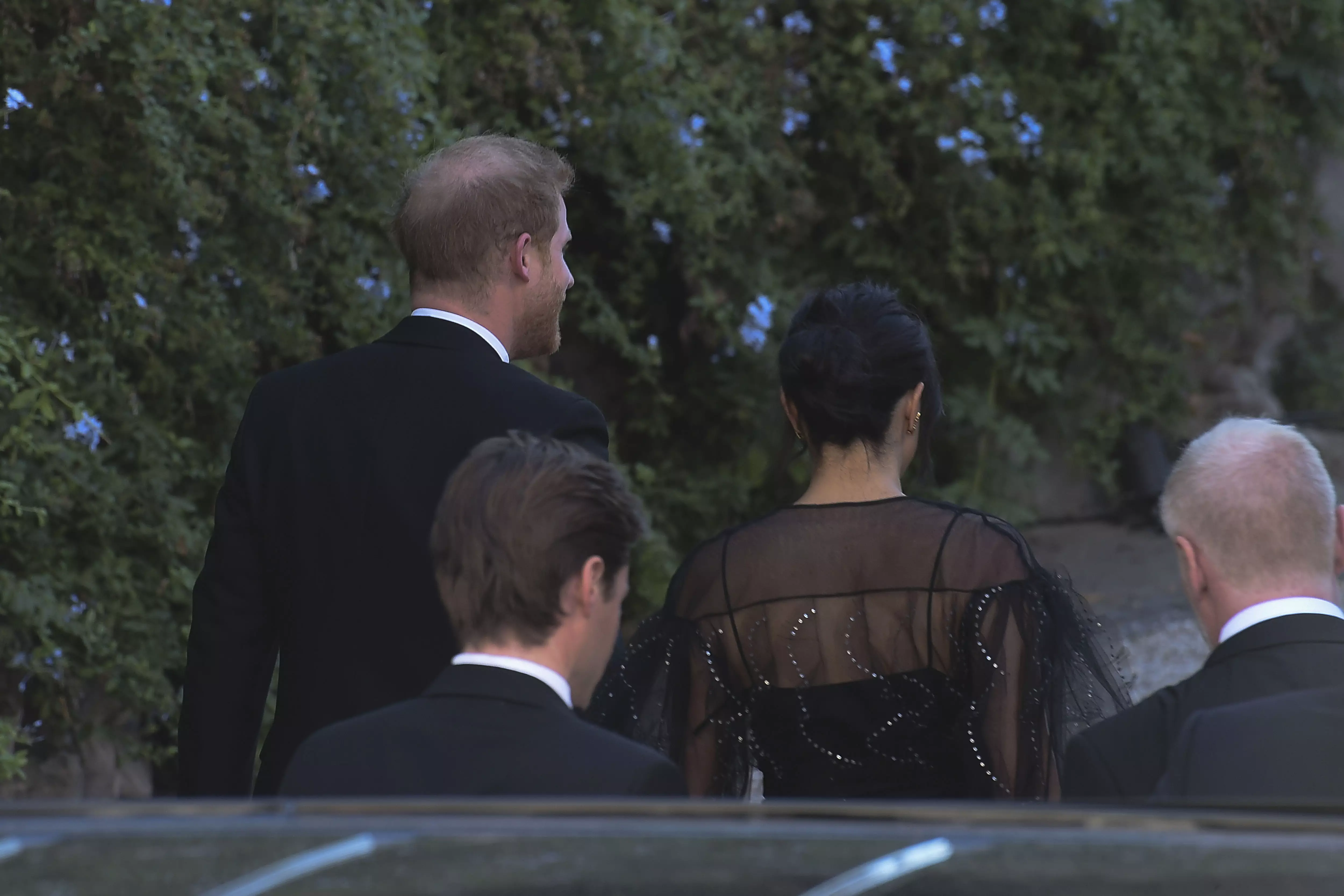 meghan markle in princ harry