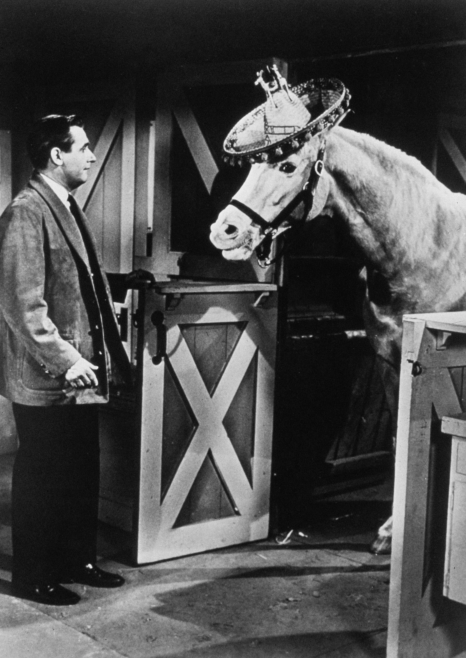 mister-ed-7