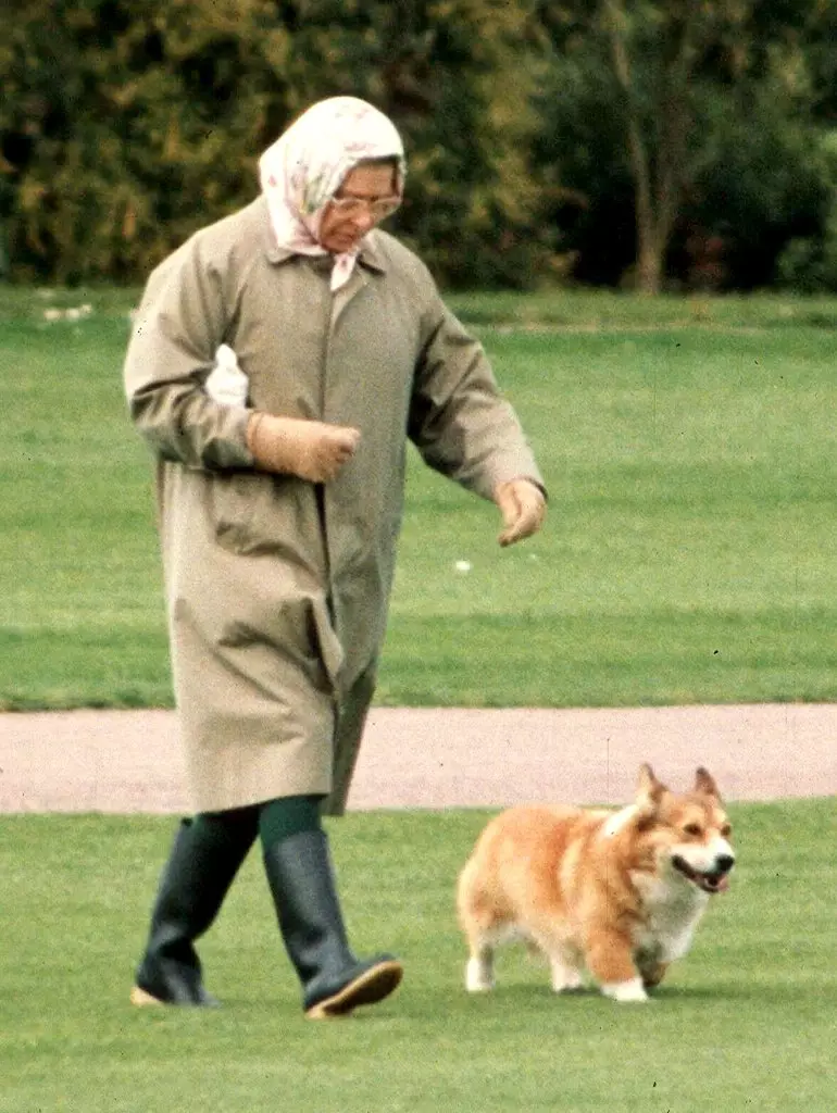 Kuningatar Elizabeth II tuhoutui koiranpennun menetyksestä vain 6 viikkoa prinssi Philipsin kuoleman jälkeen