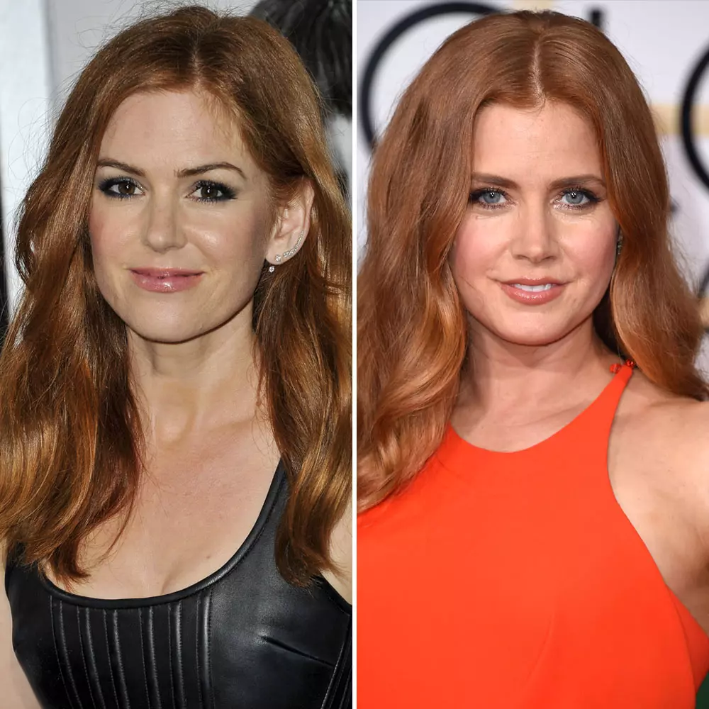 isla-fisher-amy-adams